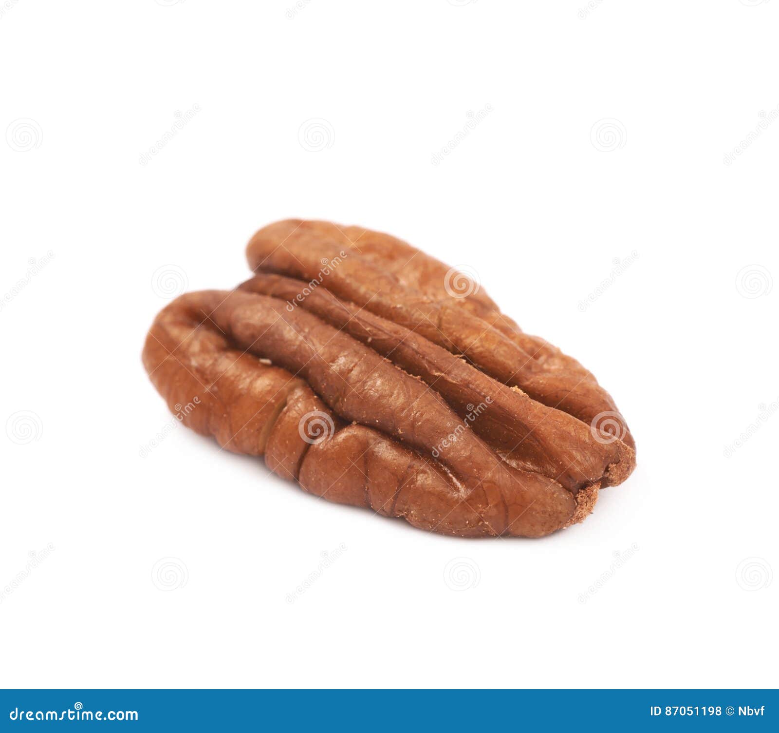 Single pecan nut isolated stock photo. Image of edible - 87051198
