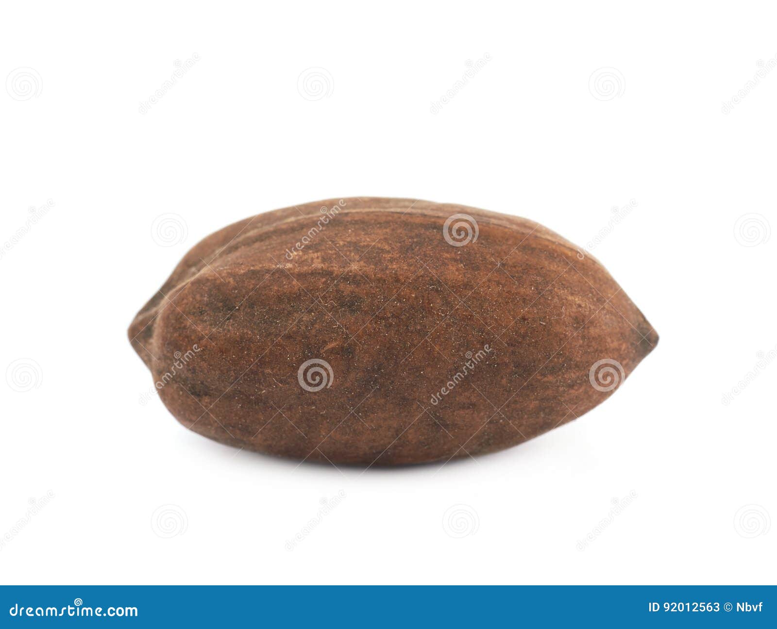 Single pecan nut isolated stock image. Image of ingredient - 92012563