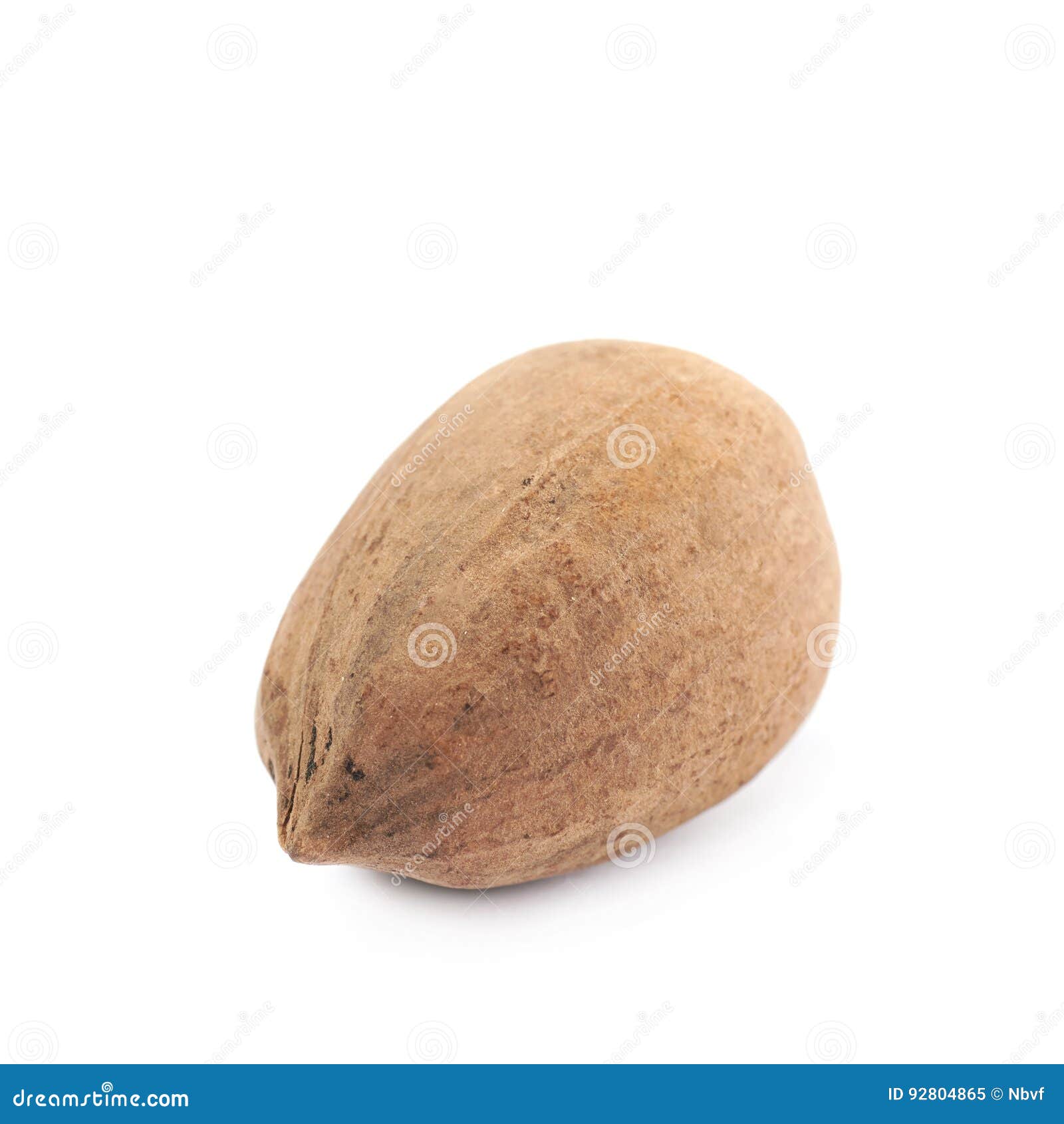 Single pecan nut isolated stock image. Image of kernel - 92804865