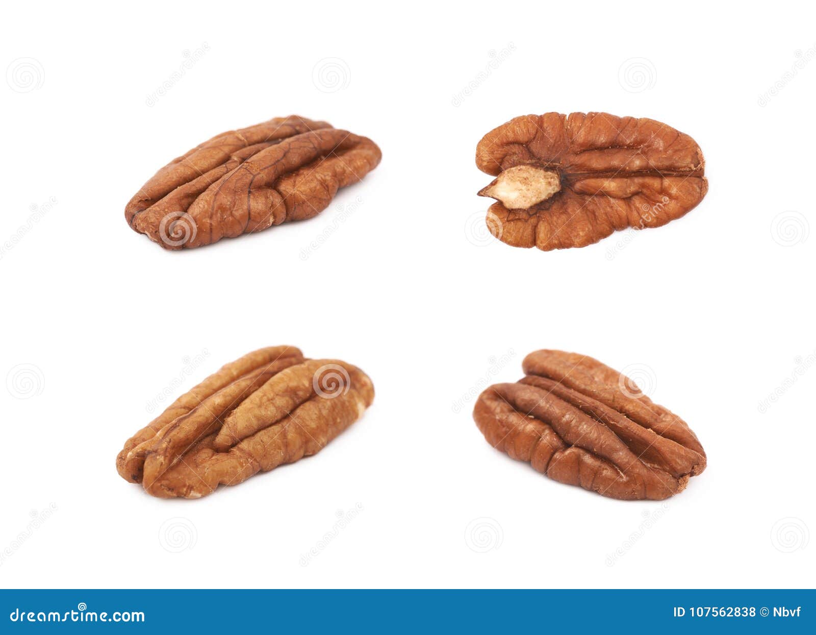 Single pecan nut isolated stock photo. Image of diet - 107562838