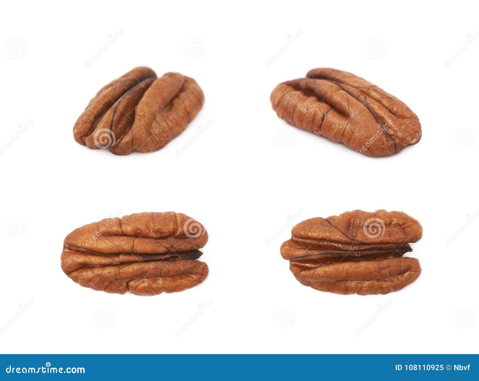 Single pecan nut isolated stock image. Image of organic - 108110925