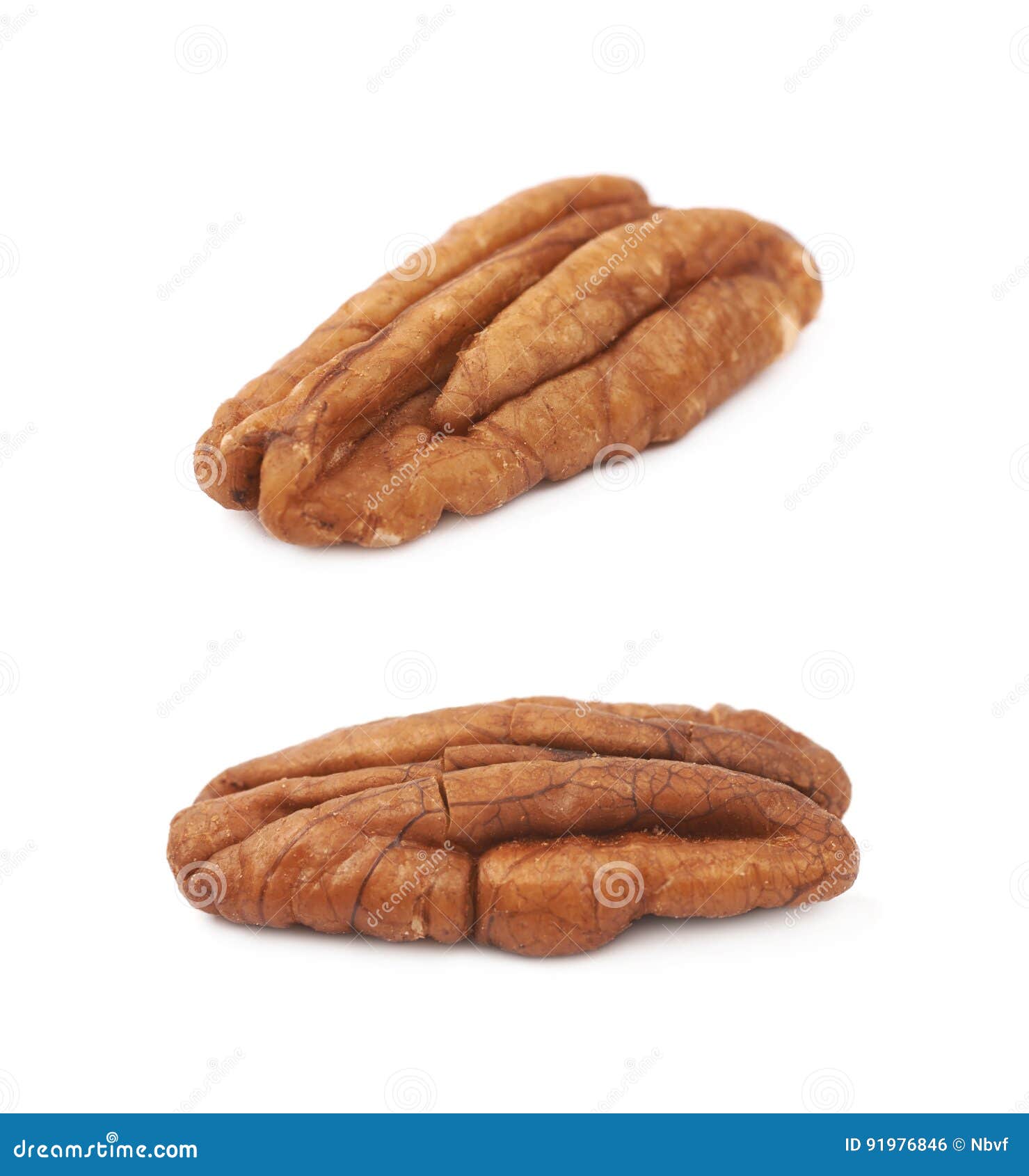 Single pecan nut isolated stock photo. Image of fresh - 91976846
