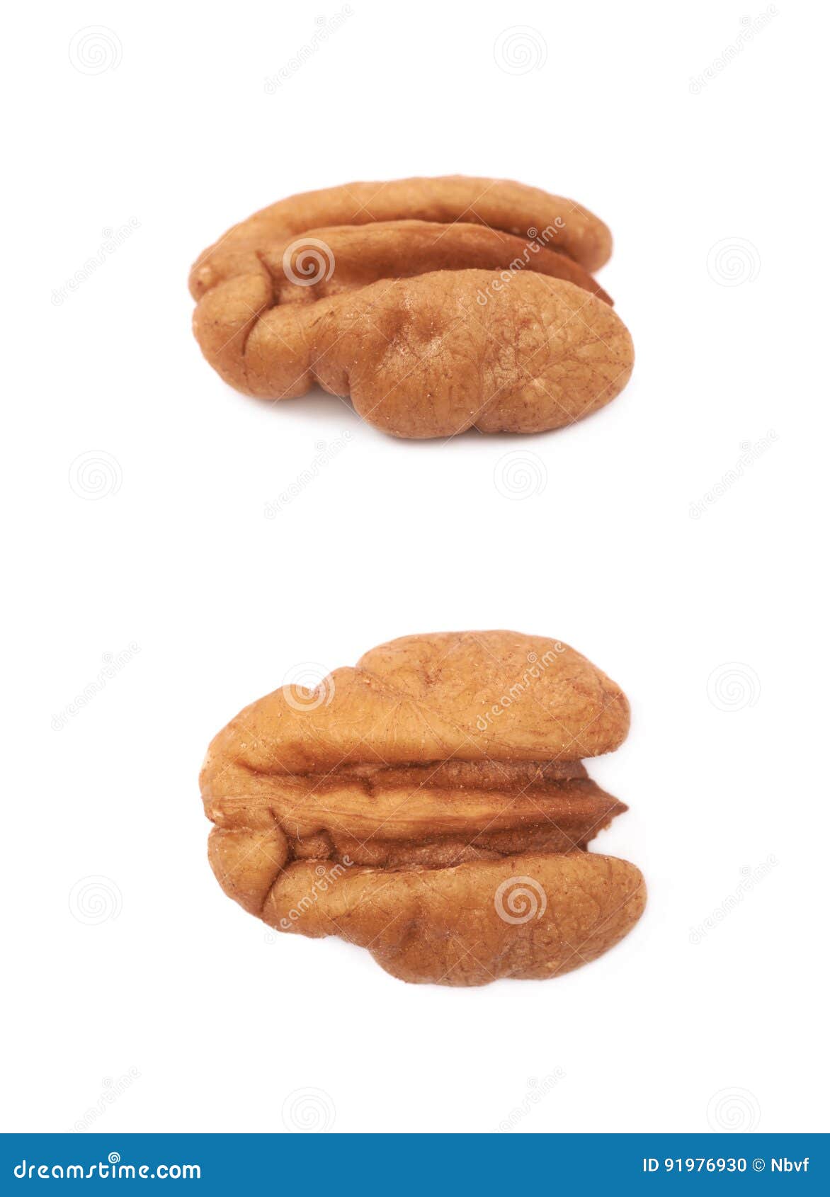 Single pecan nut isolated stock photo. Image of natural - 91976930