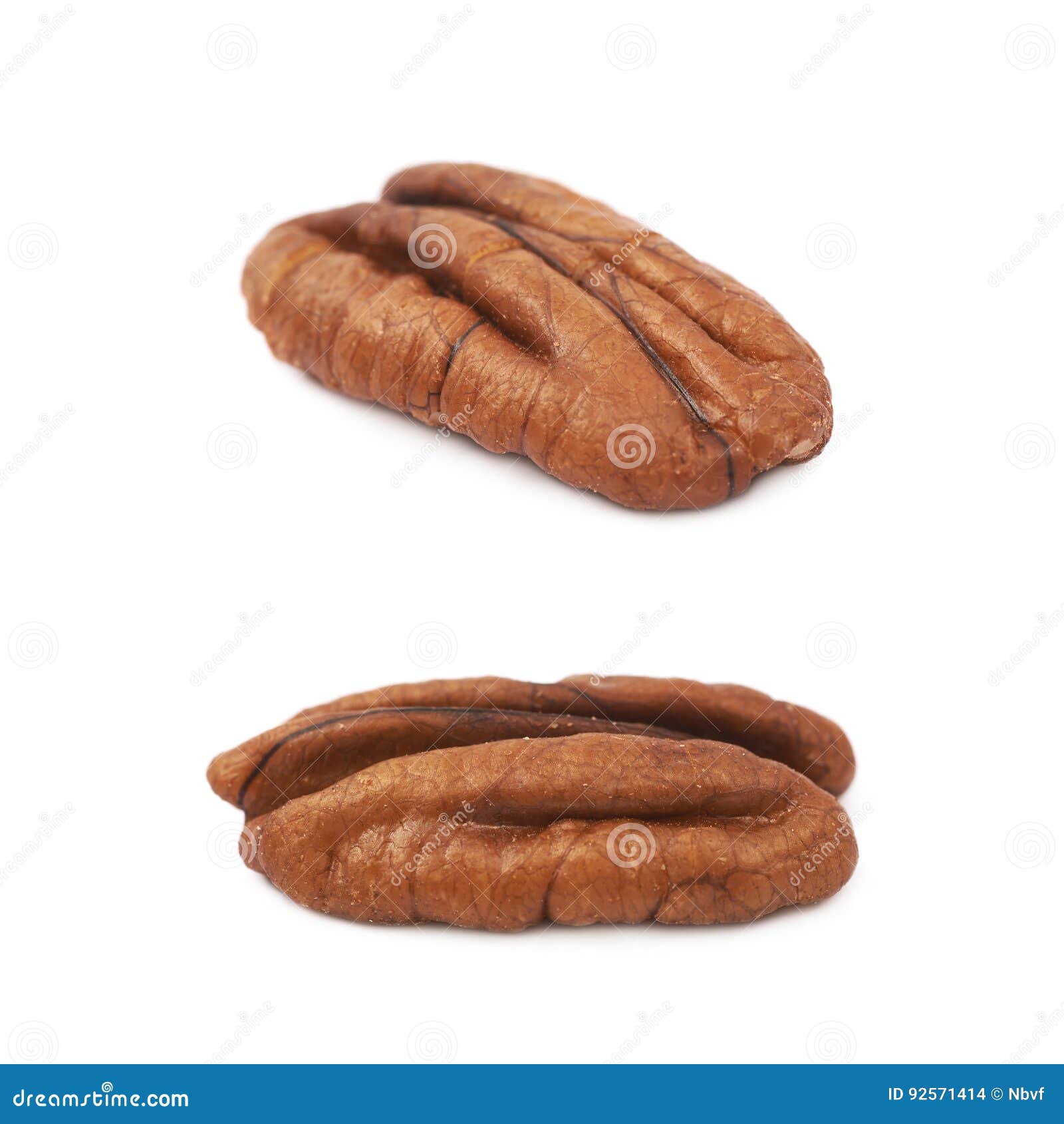 Single pecan nut isolated stock photo. Image of pecannut - 92571414