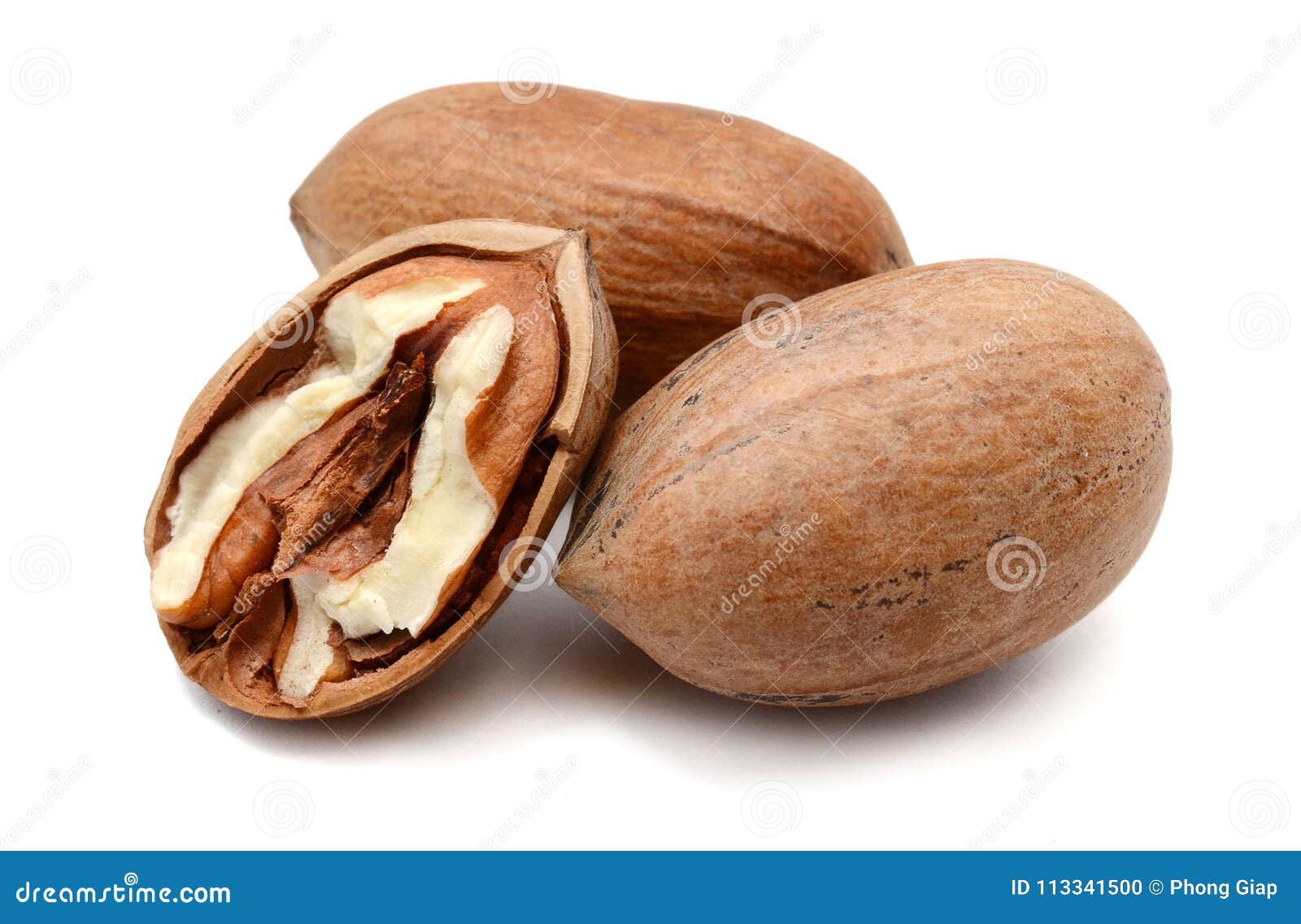 Pecan nut stock photo. Image of calcium, cholesterol - 113341500