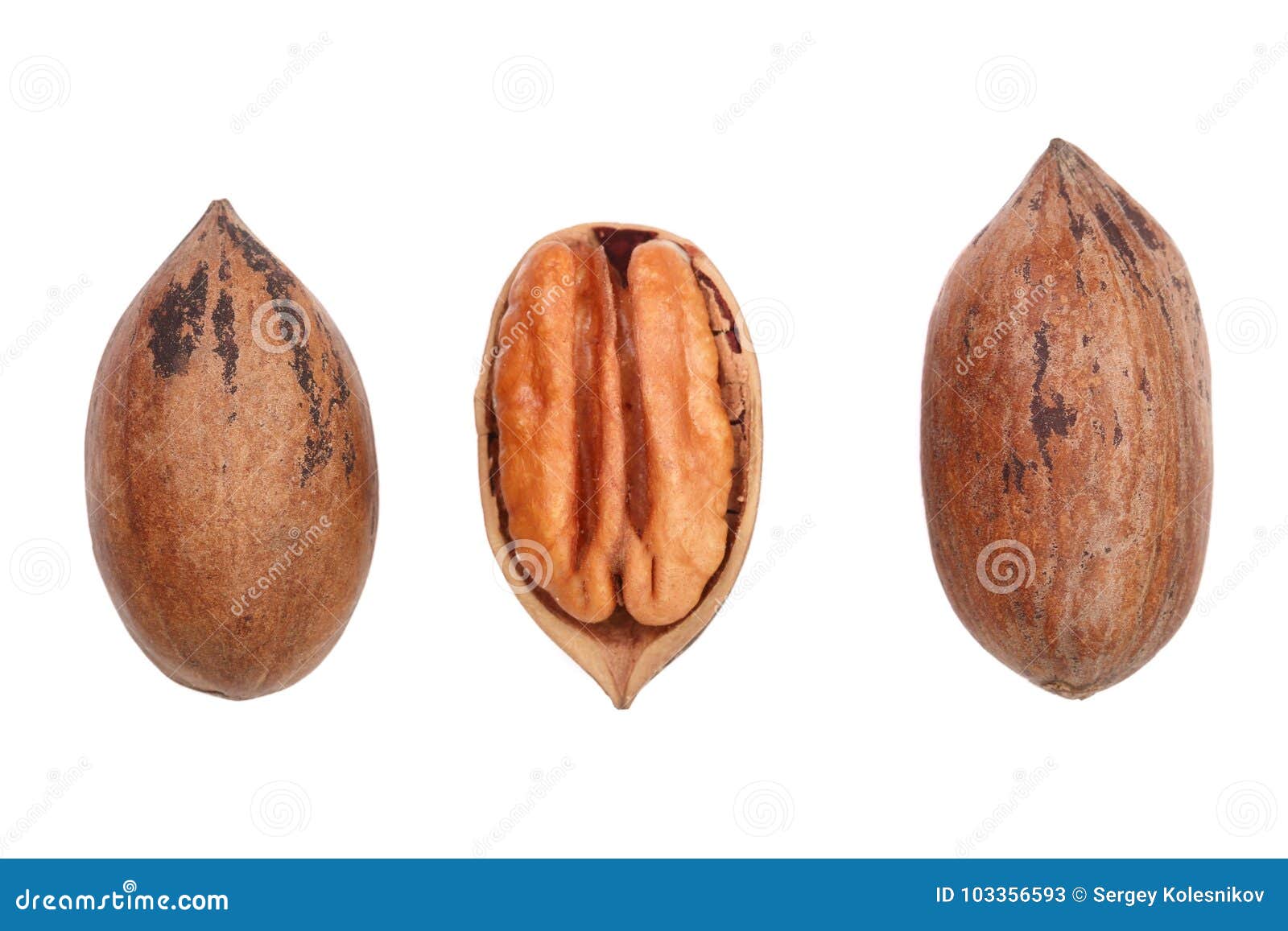 Single Pecan Nut Isolated on White Background, Set of Three Different ...