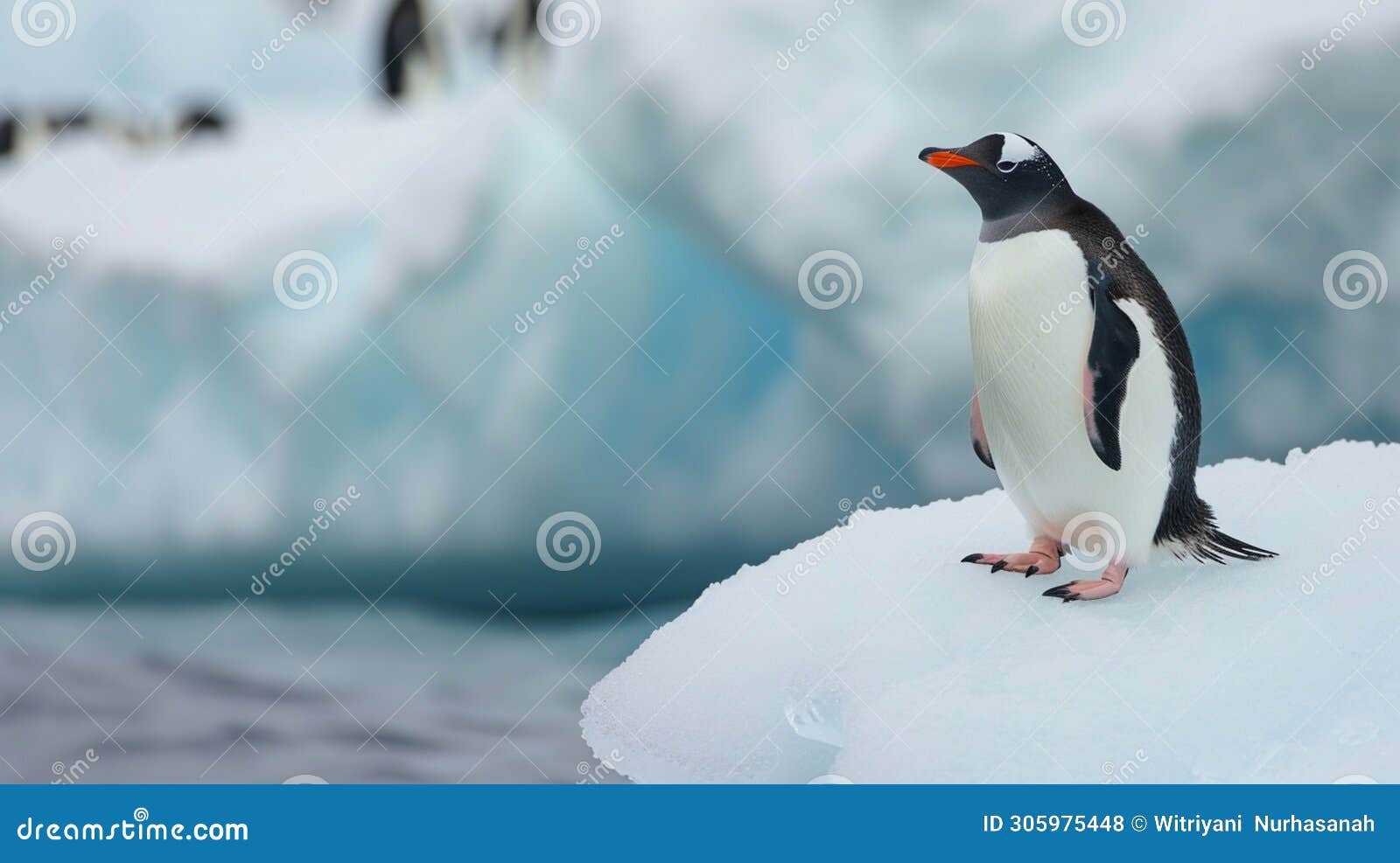 Single Penguin on a Piece of Ice. AI Generative Stock Photo - Image of ...