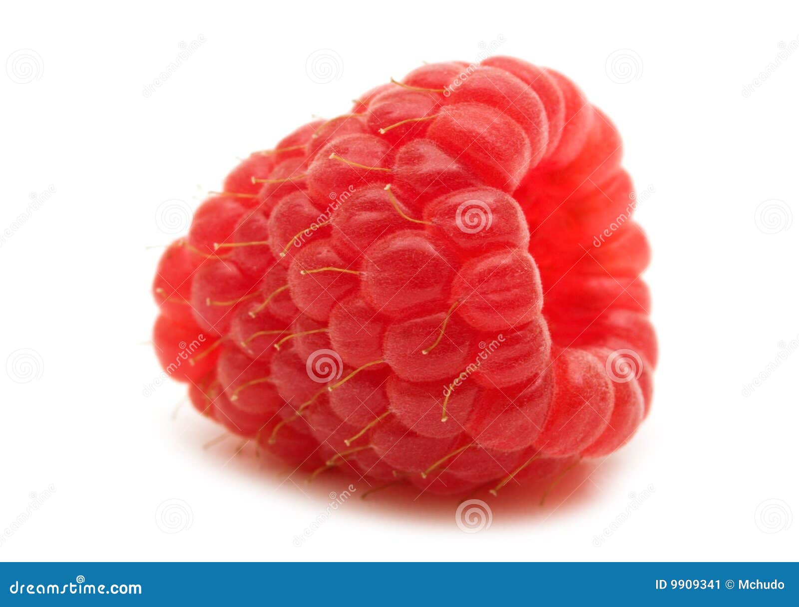 Single perfect raspberry stock image. Image of diet, botanical - 9909341