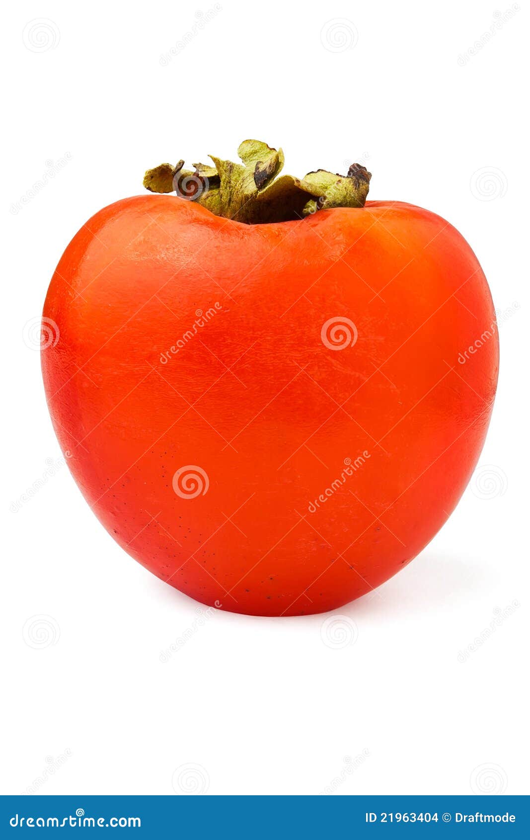Single persimmon stock photo. Image of orange, ingredient - 21963404
