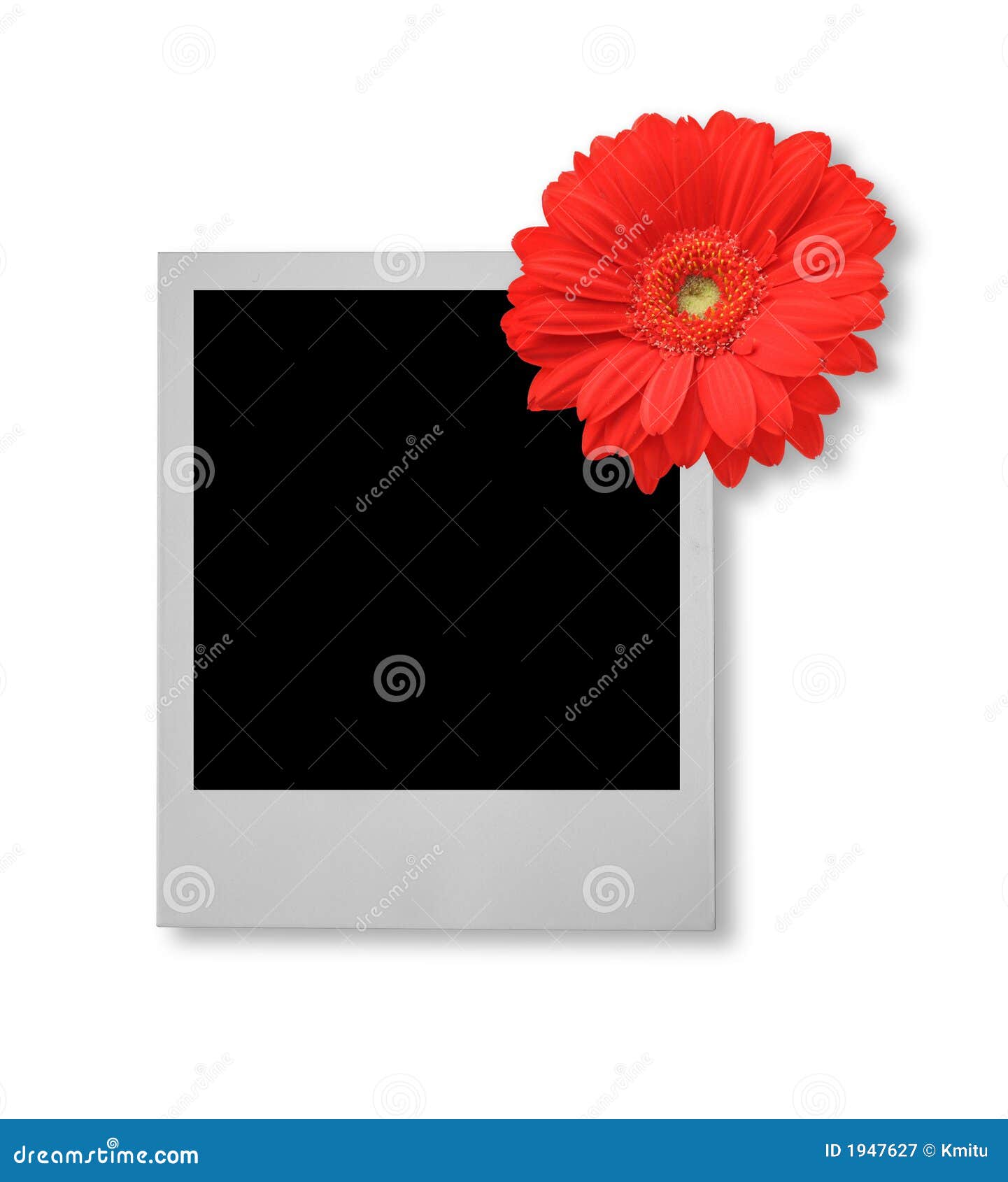 Single photo frame stock image. Image of isolated, memory - 1947627