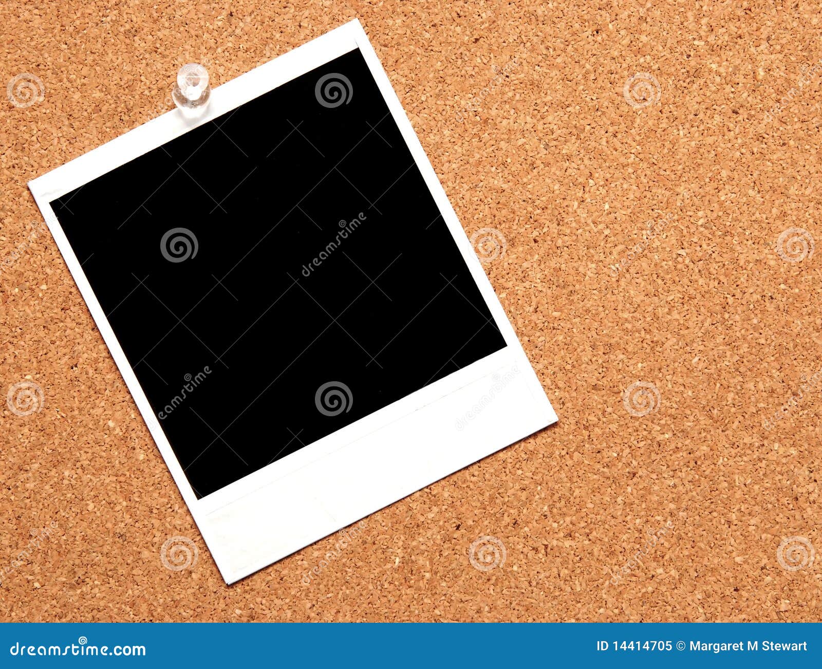 Single Photogragh Stock Photos - Free & Royalty-Free Stock Photos from ...