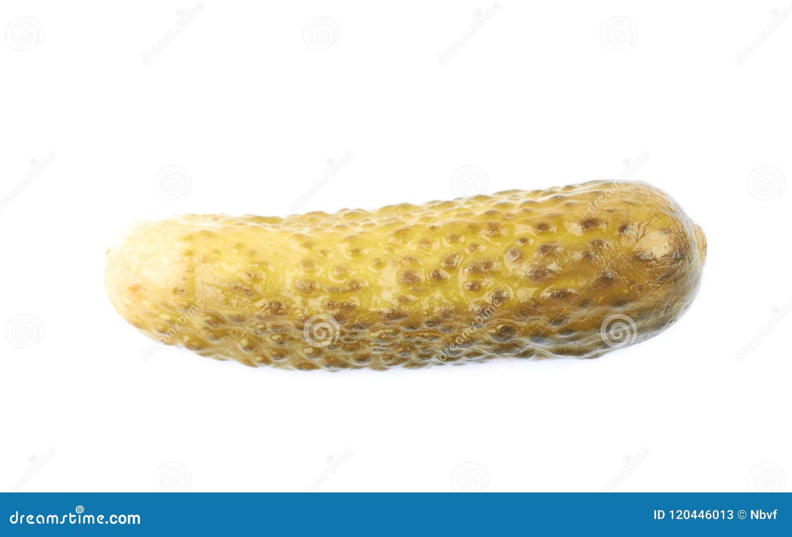 Single pickle isolated stock image. Image of marinated - 120446013