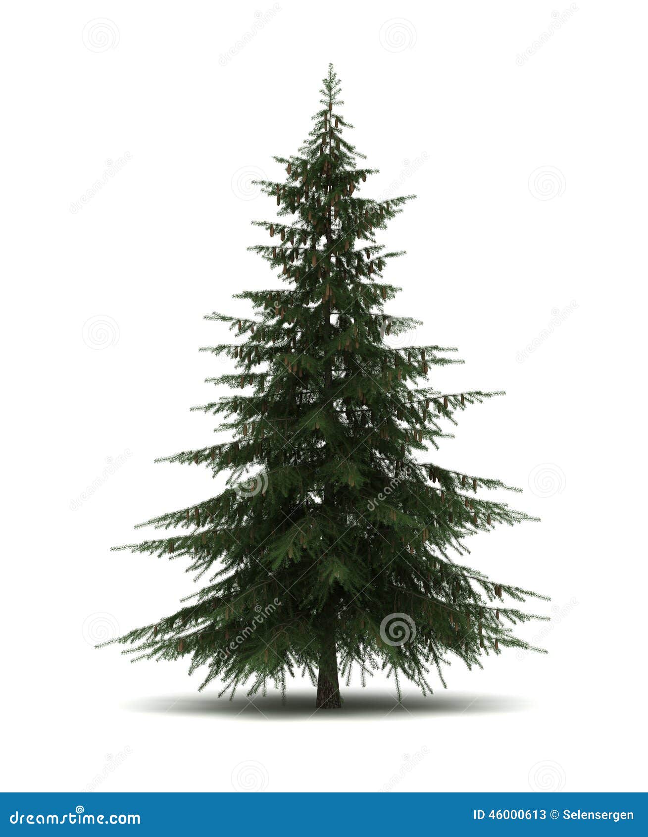 Single Pine Tree stock illustration. Illustration of single - 46000613