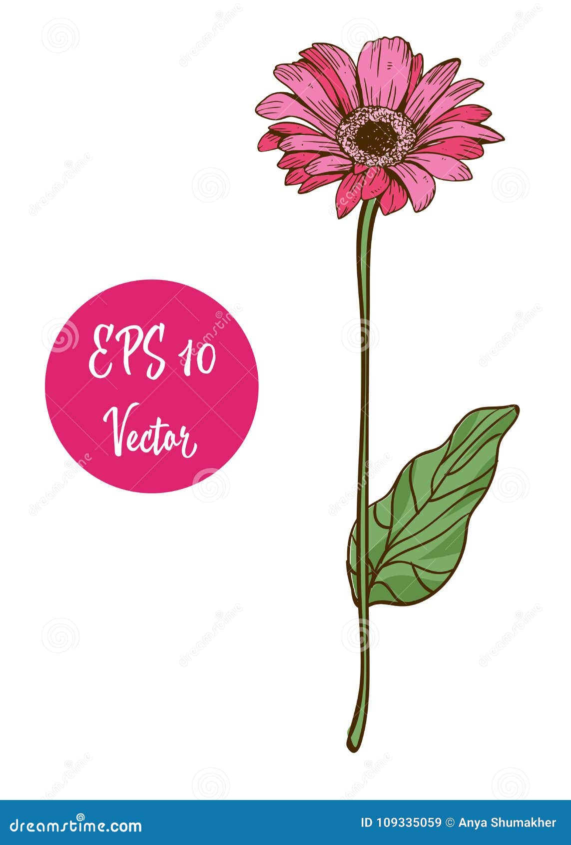 Single Pink Daisy Stem Stock Illustrations – 120 Single Pink Daisy Stem ...