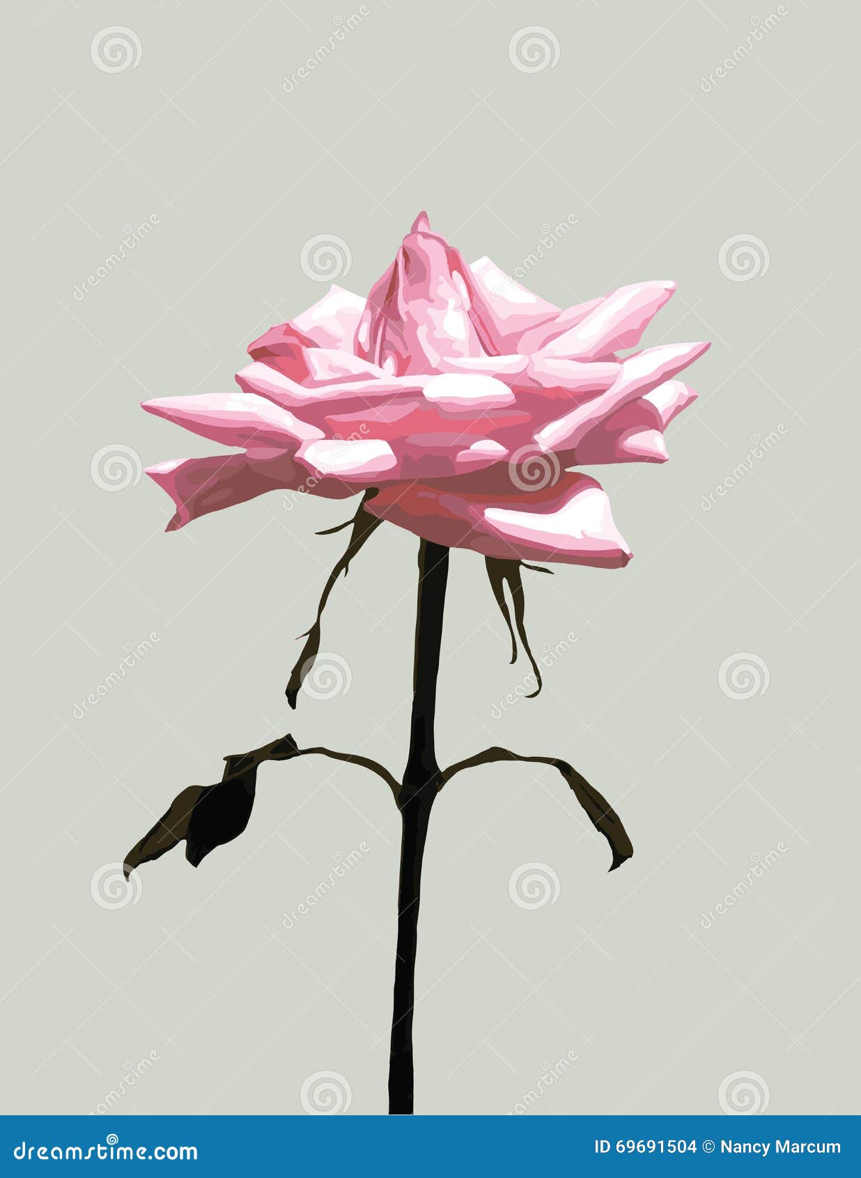 Single Pink Rose Bubbles Brick Wall Black Vector Background . Stock ...