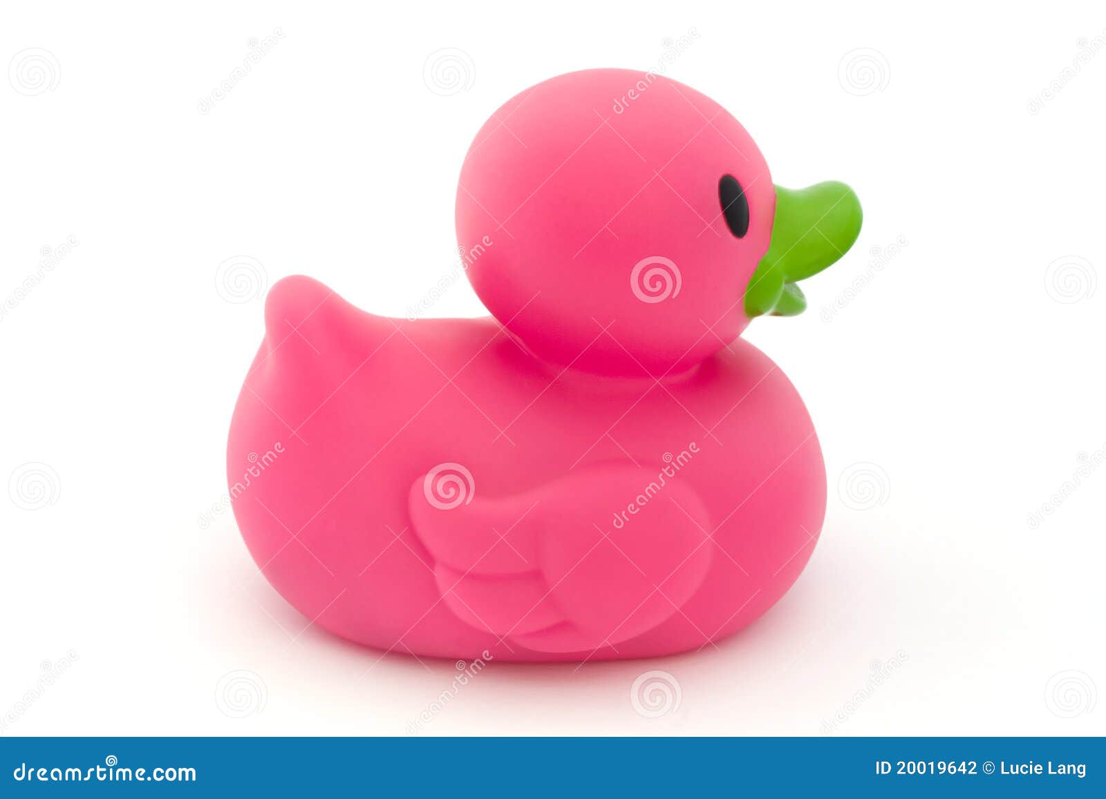 Pink Rubber Ring In The Swimming Pool Stock Image | CartoonDealer.com ...