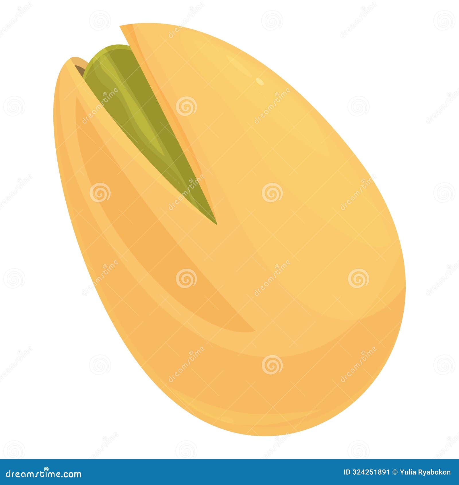Single Pistachio Nut Cracked Open Showing Green Seed Stock Vector ...