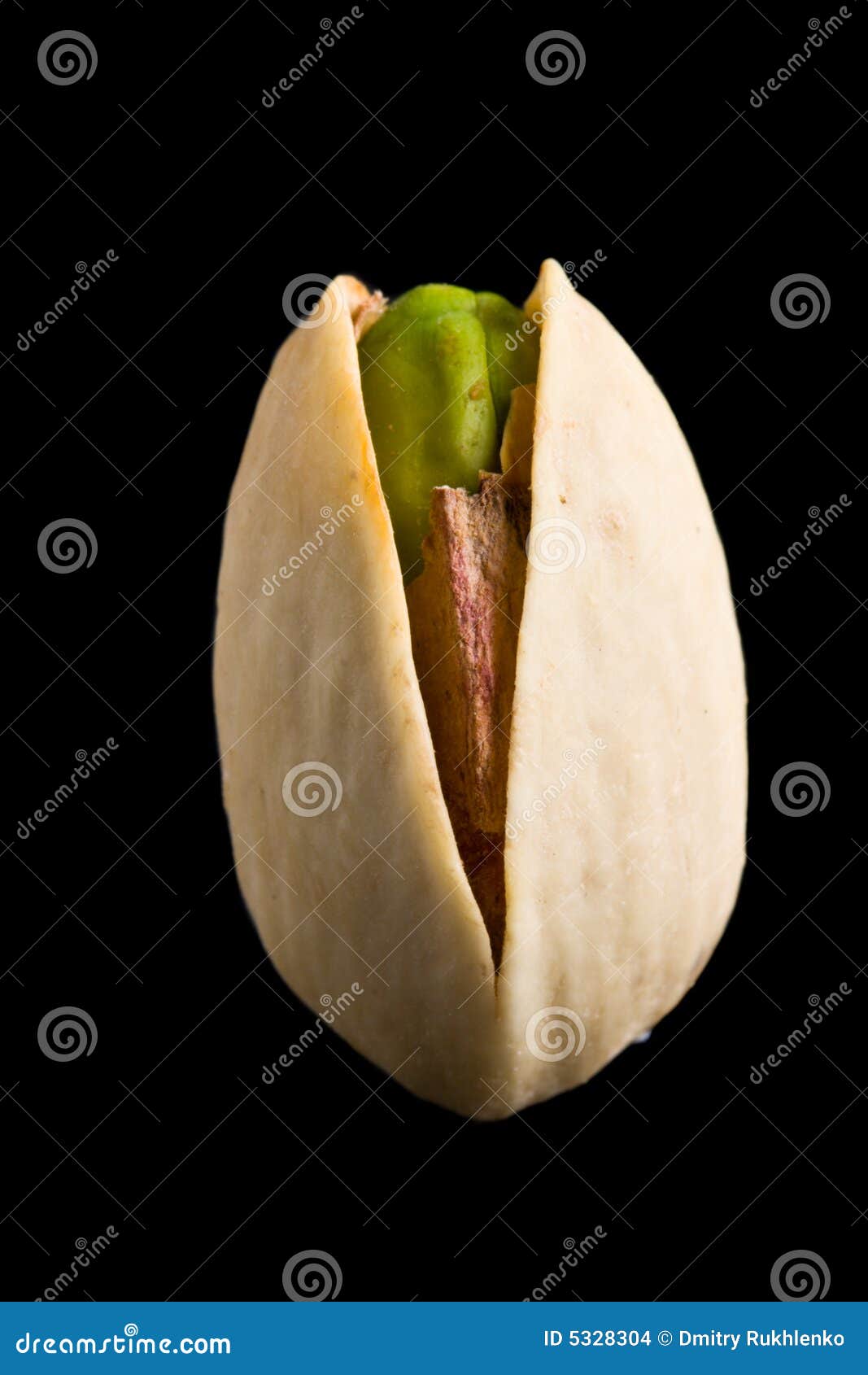 Single Pistachio Nut Isolated Stock Photo - Image of close, salted: 5328304
