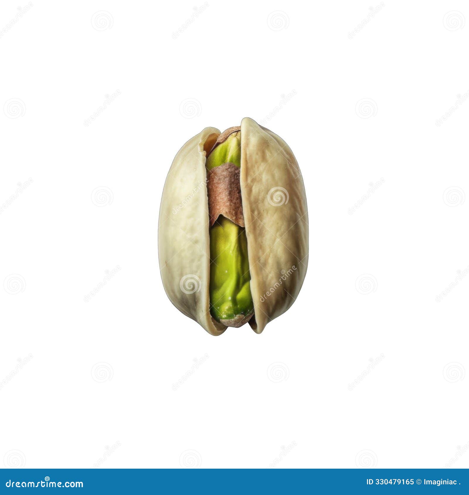 Single Pistachio Nut With Open Shell Showing Seed Cartoon Vector ...