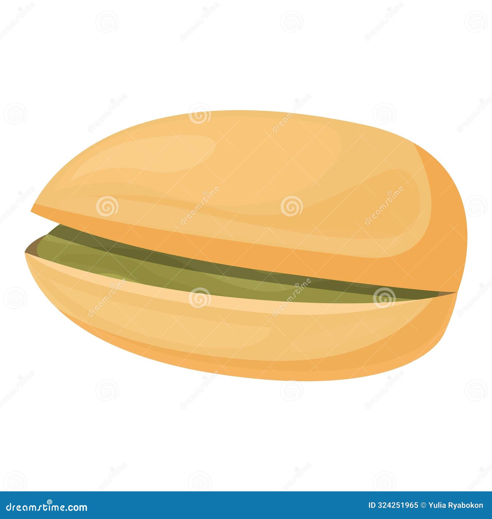 Single Pistachio Nut Shell Open Showing Seed Stock Vector ...