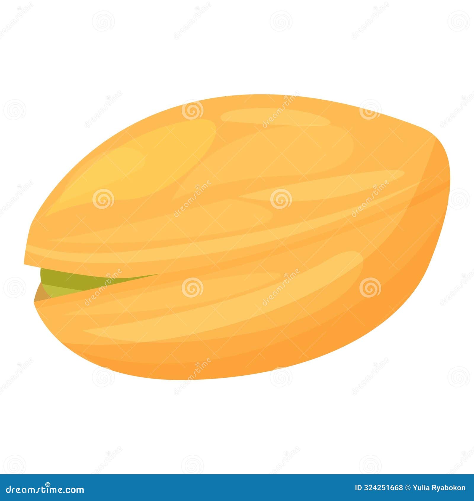 Single Pistachio Nut Shell Showing Delicious Green Inside Stock Vector ...
