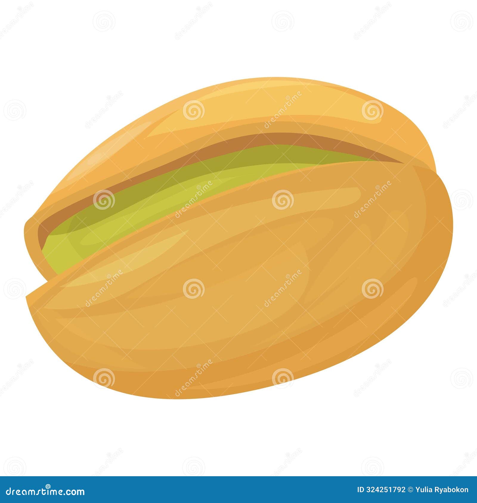 Single Pistachio Nut Showing Seed Inside Shell Stock Vector ...