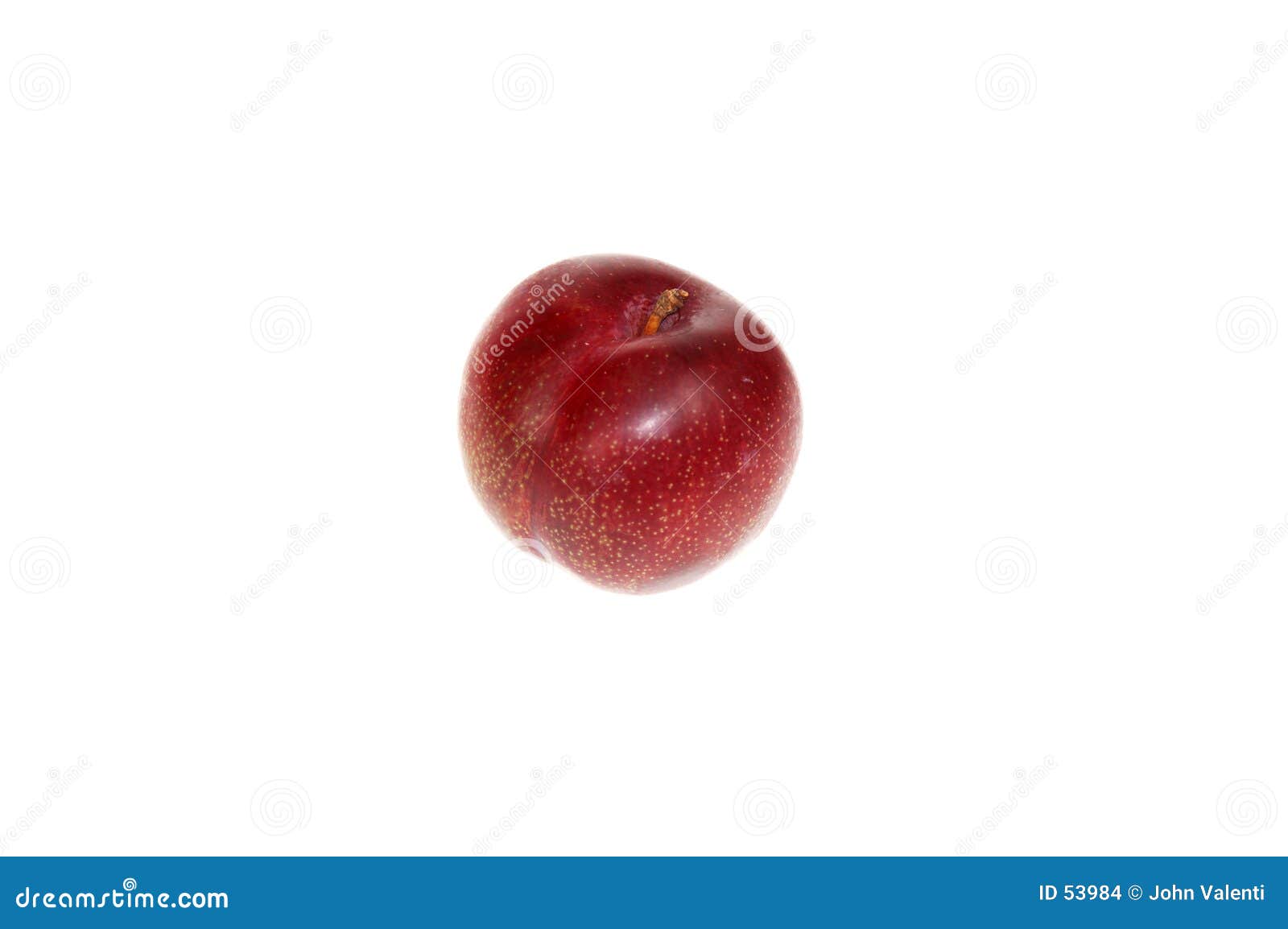 Single plum stock photo. Image of plum, round, juicy, sweet - 53984