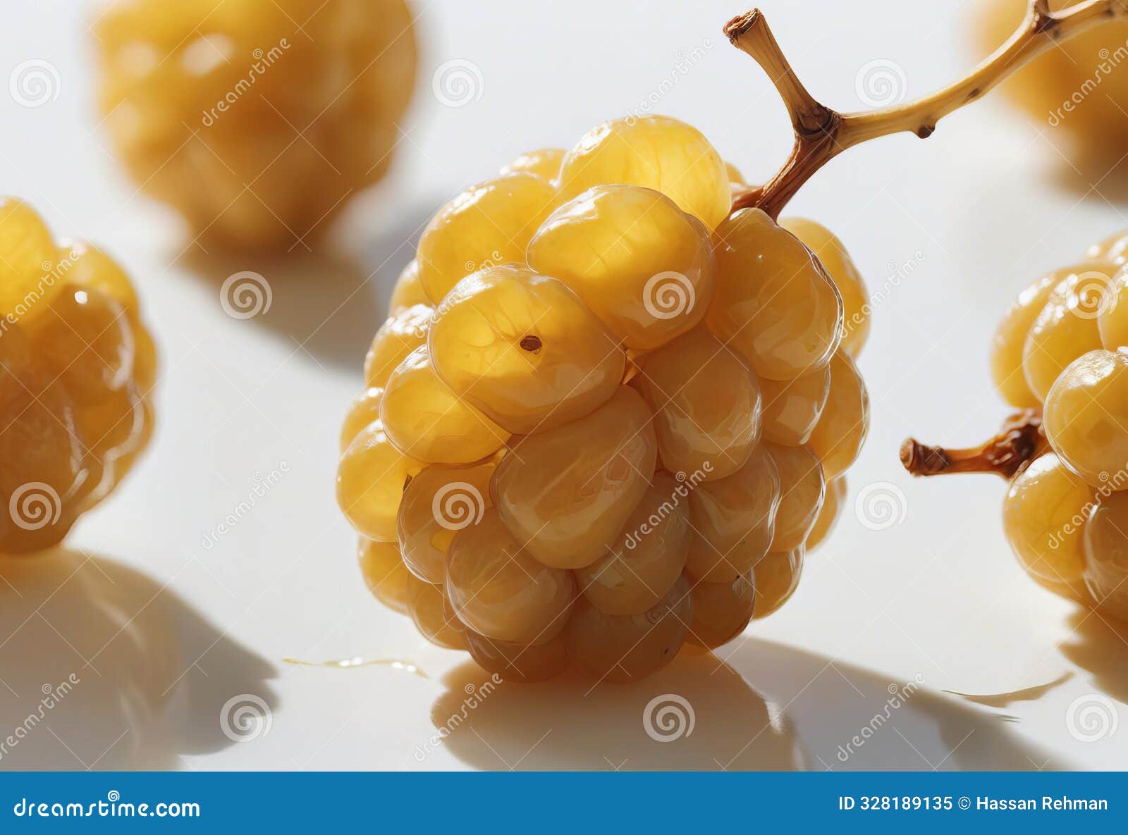 A Single Plump Raisin in Stunning Detail Stock Illustration ...