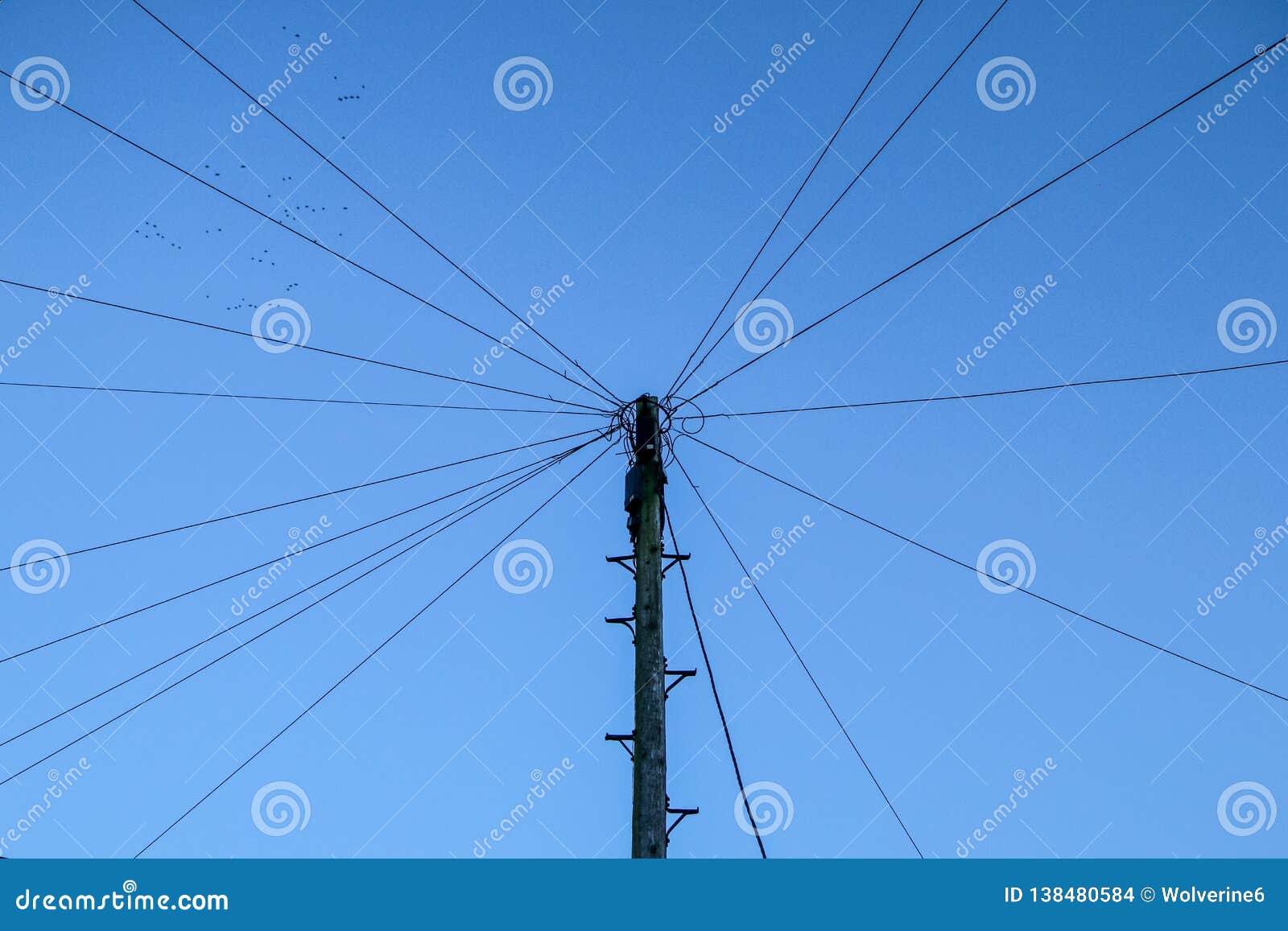 A Single Pole with Many Cables Stock Photo - Image of industry, post ...