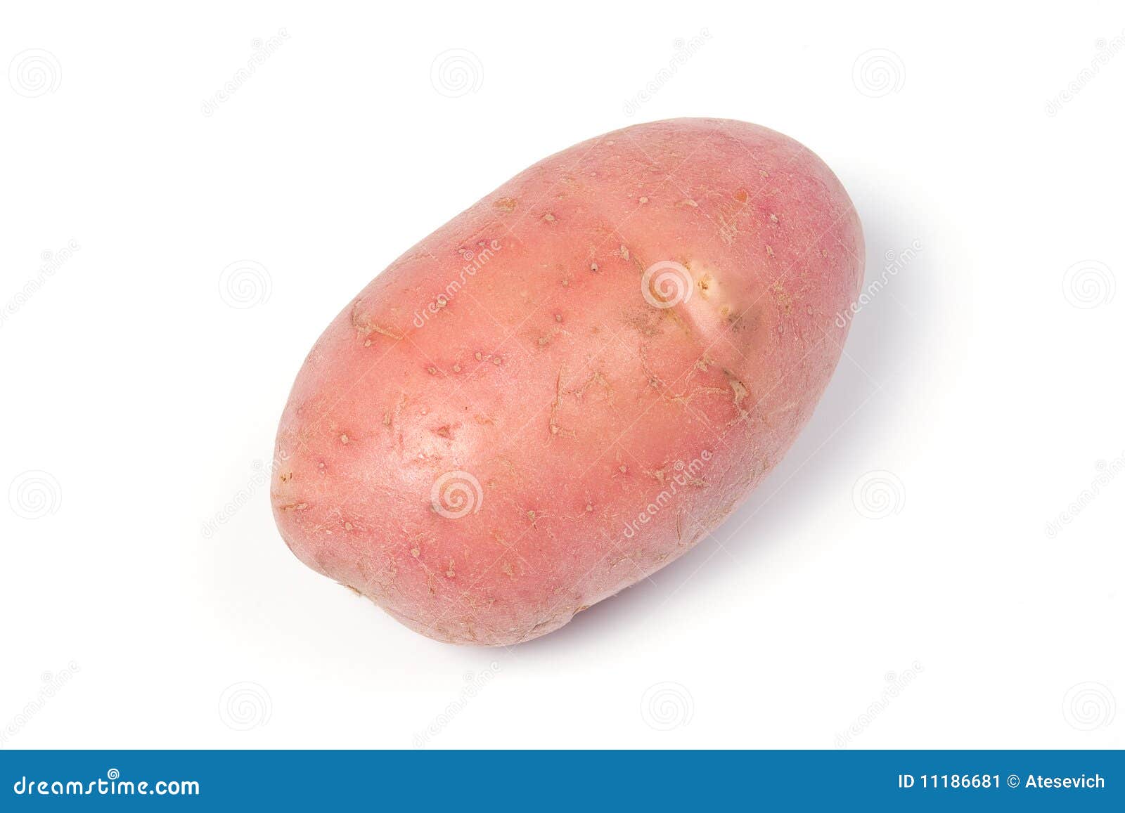 Single Potato Chip On White Background. Royalty-Free Stock Photography ...