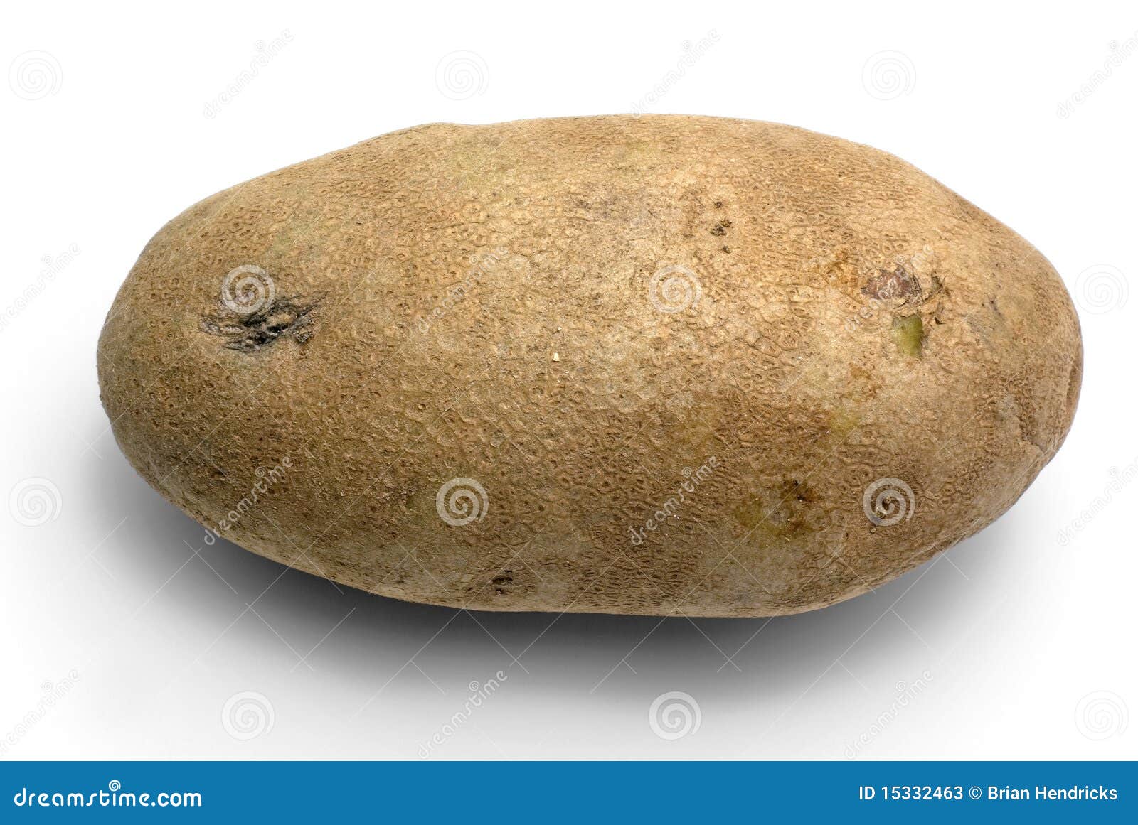 Single Potato stock image. Image of organic, produce - 15332463
