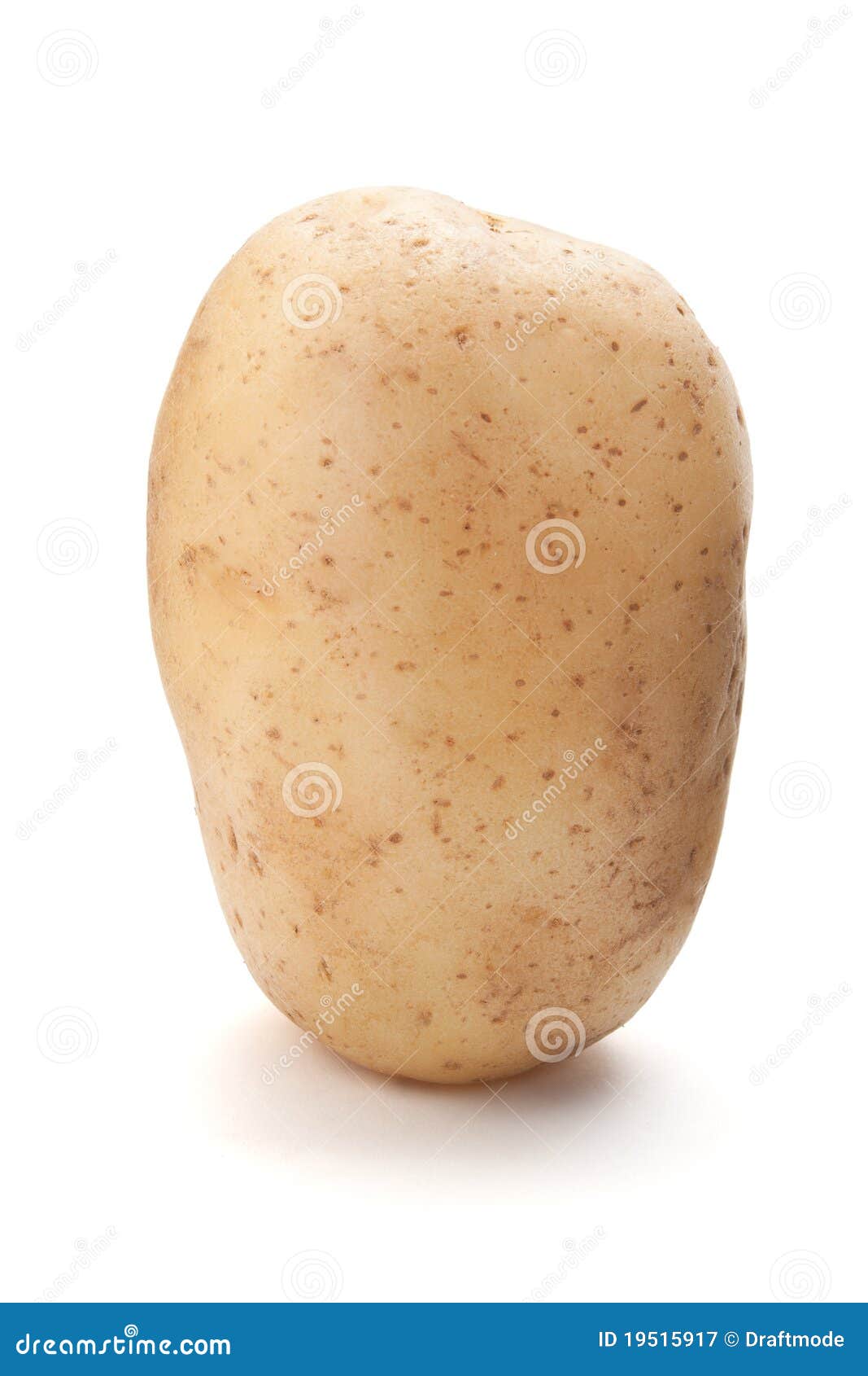 Single potato stock image. Image of vegetarian, starch - 19515917