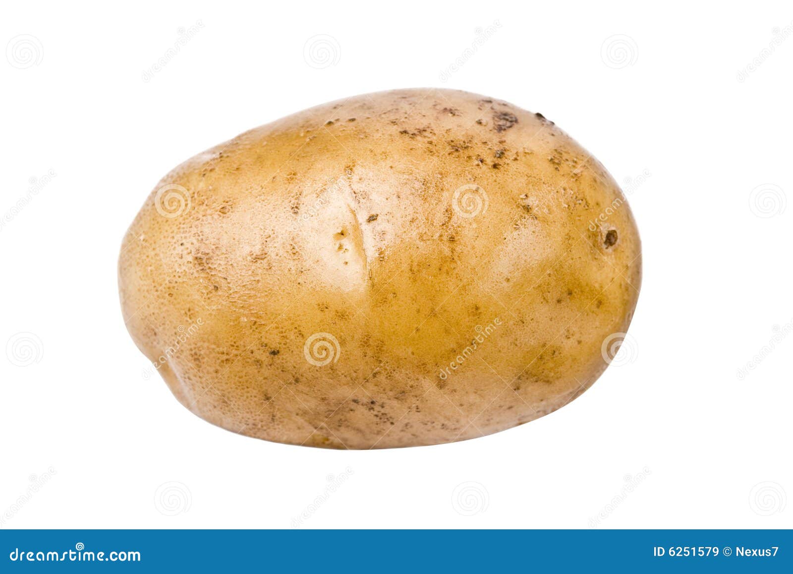 Single Potato stock image. Image of vegetable, white, nutrition - 6251579