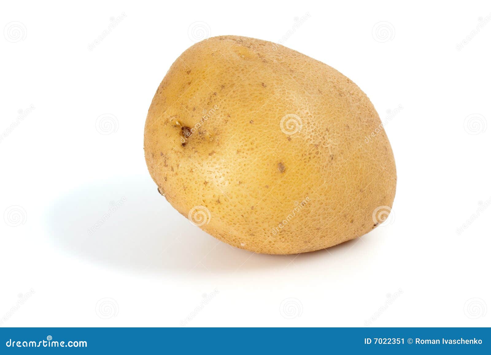 Single potato stock image. Image of food, potato, vegetable - 7022351