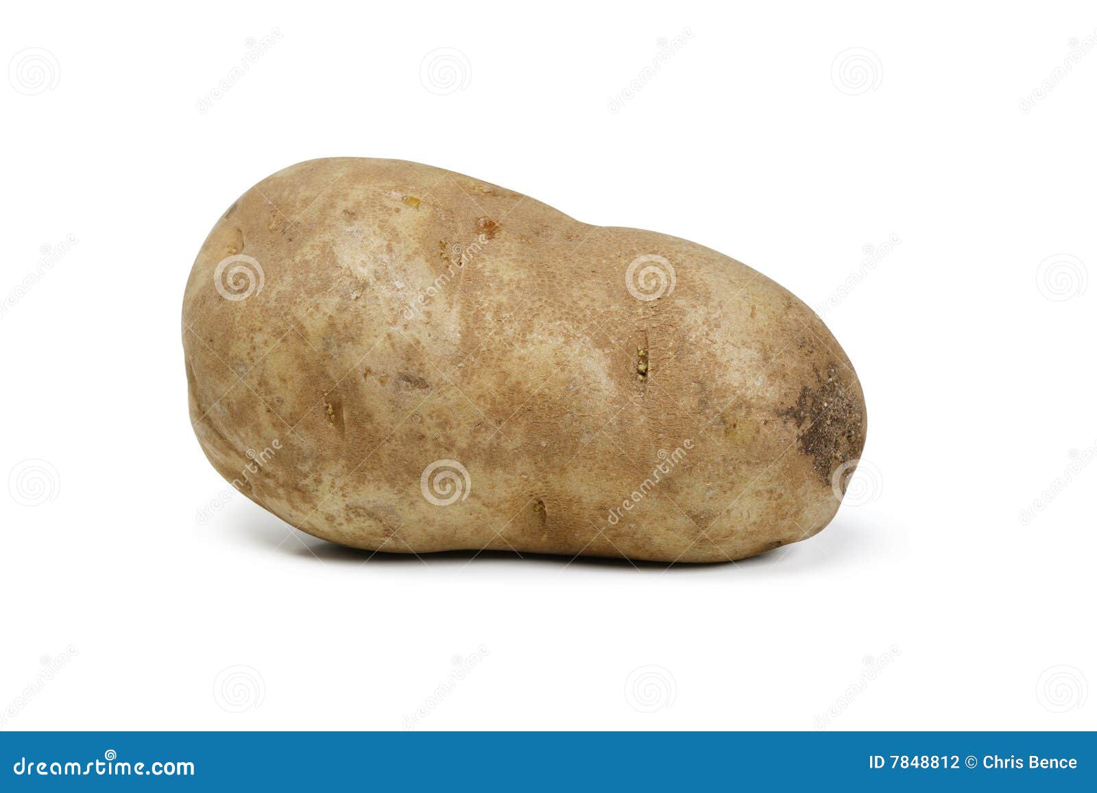 Single Potato stock photo. Image of plant, background - 7848812