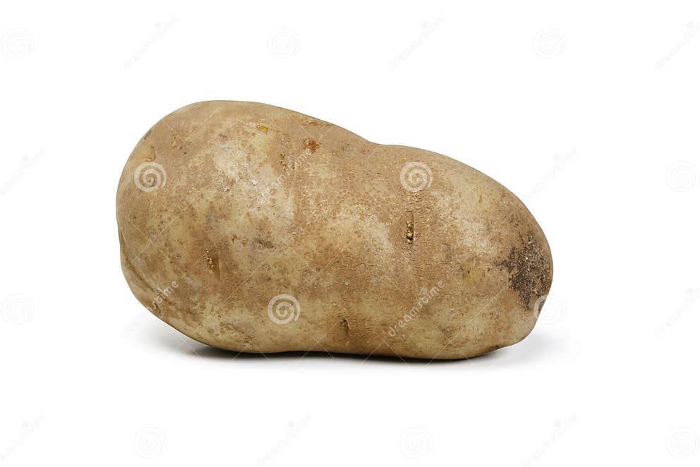 Single Potato stock photo. Image of plant, background - 7848812