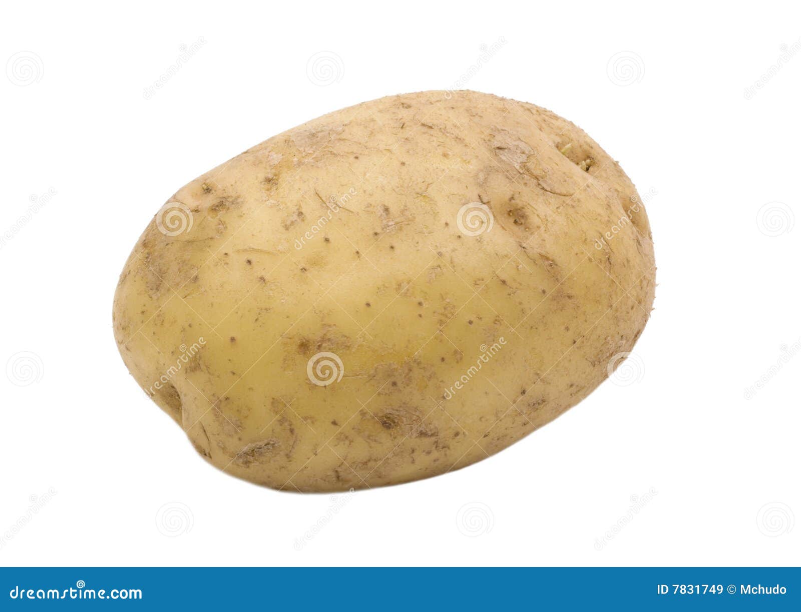 Isolated Potato Stock Image | CartoonDealer.com #29471905