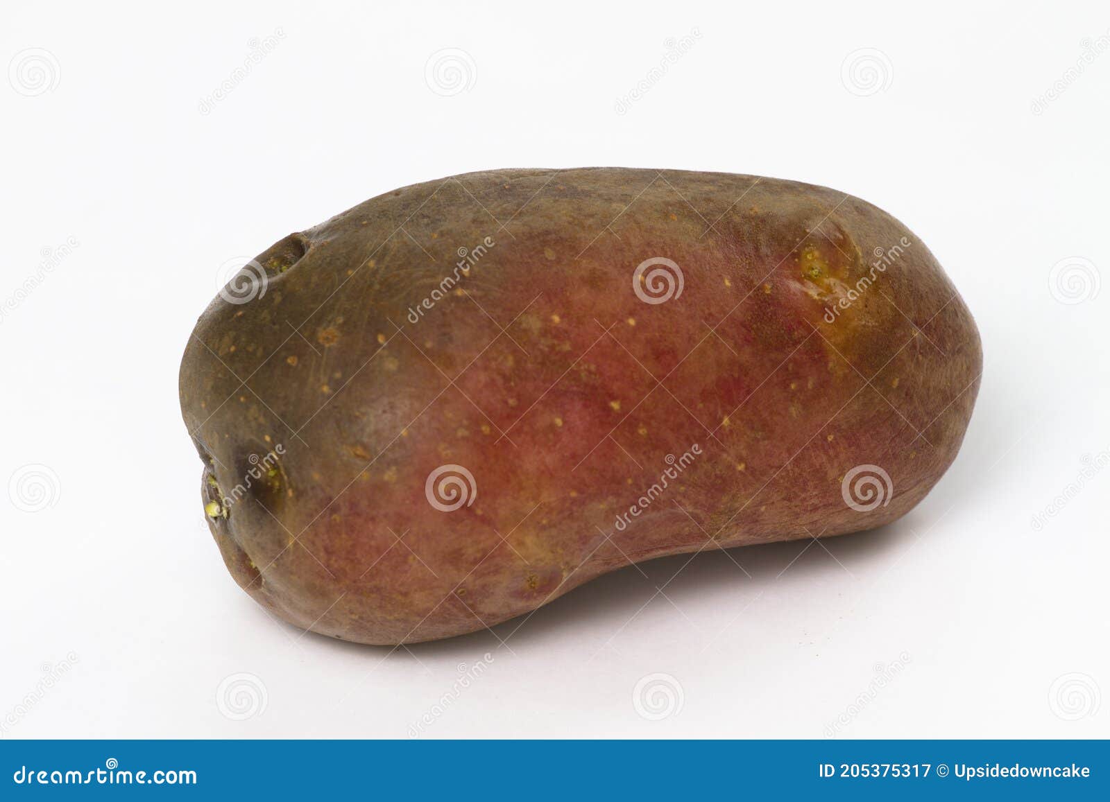Single potato stock image. Image of healthy, root, food - 205375317