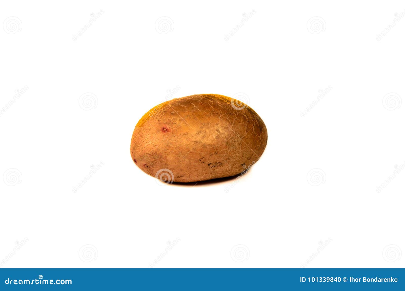 Single Potato Isolated on White Stock Photo - Image of garden, nature ...