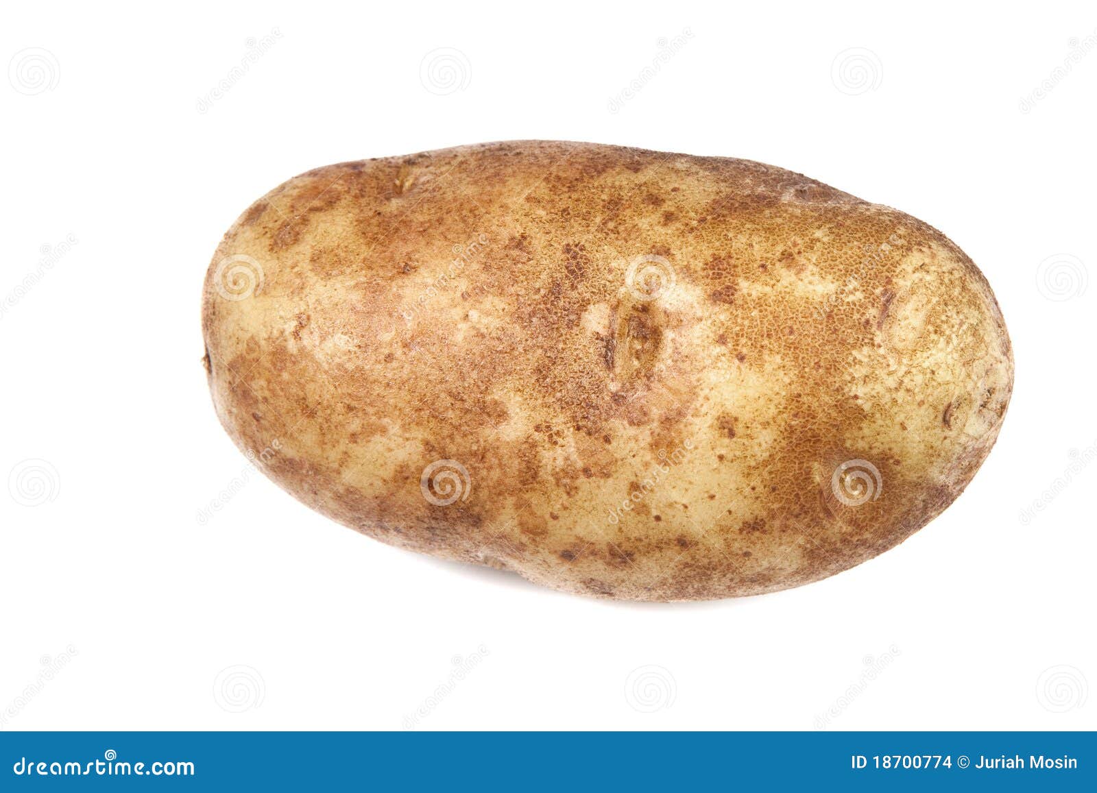 Single Potato Chip On White Background. Royalty-Free Stock Photography ...