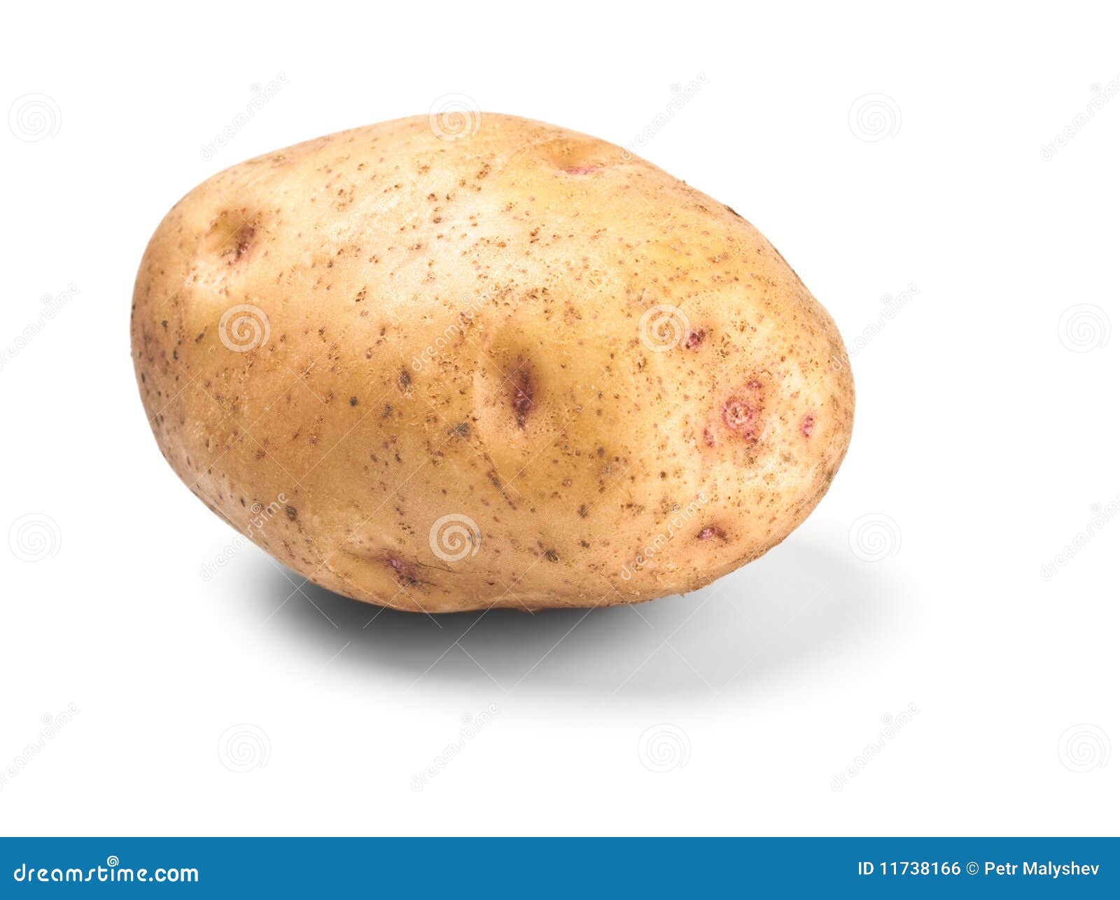 Single Potato Stock Photography | CartoonDealer.com #23493692