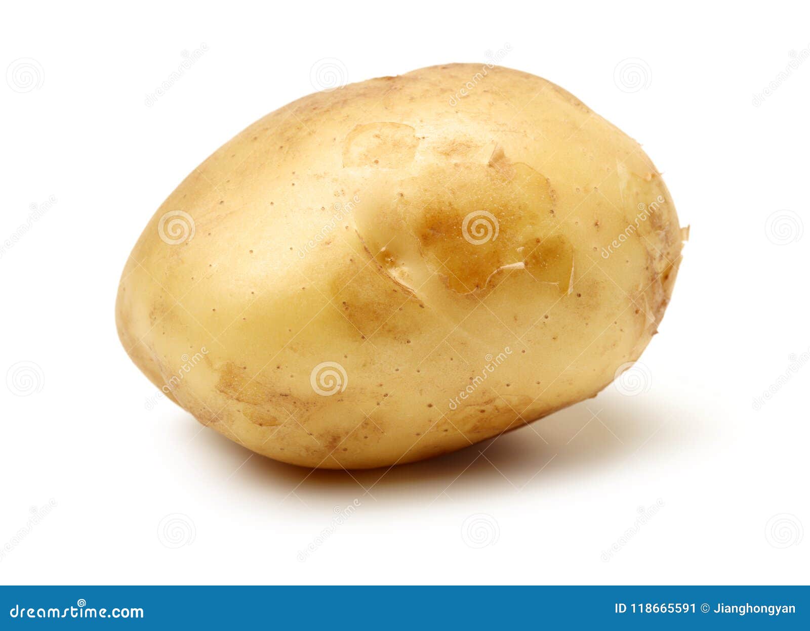 A single potato stock image. Image of potato, white - 118665591