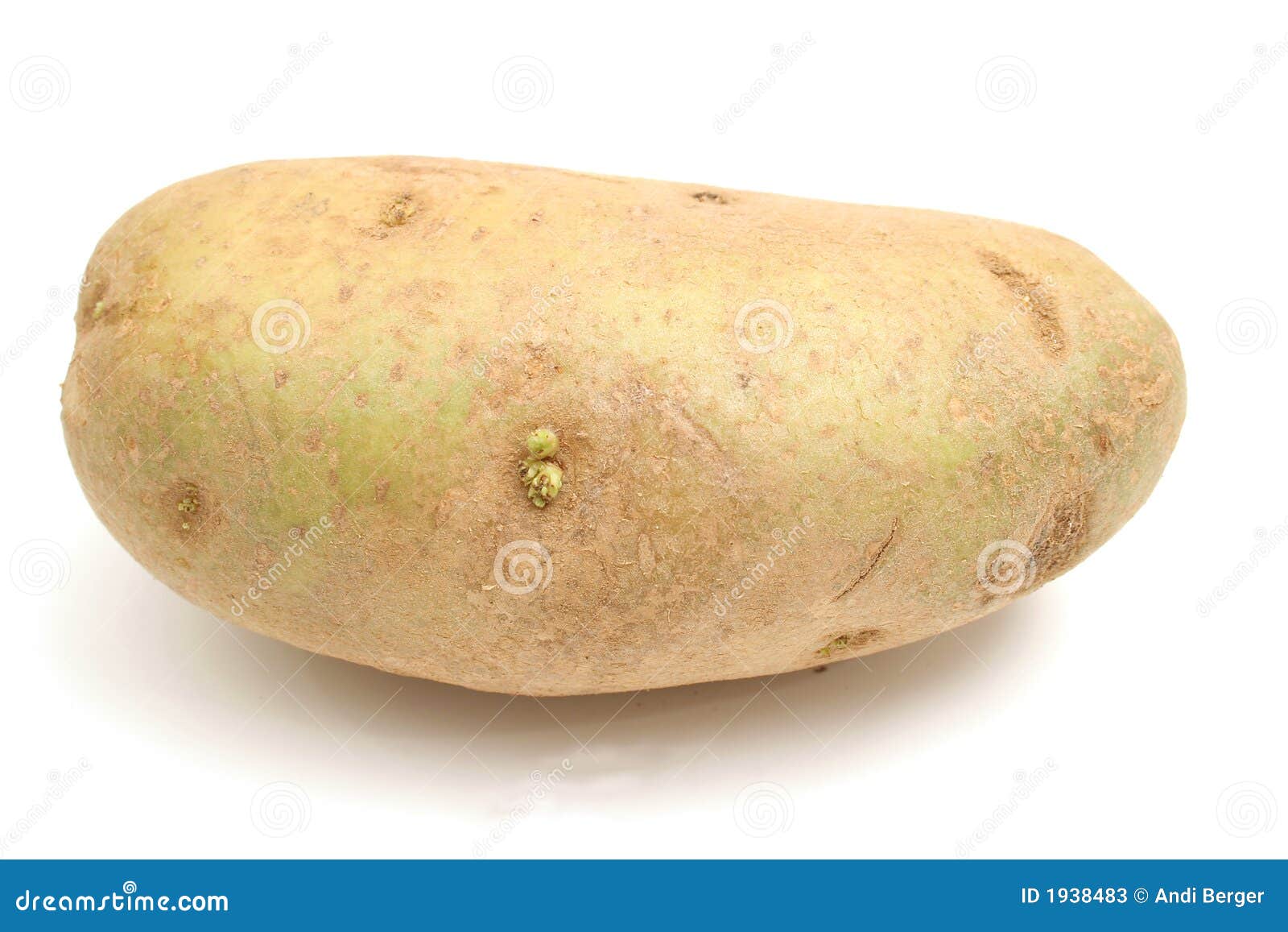 Single potato on white stock image. Image of potatoes - 1938483