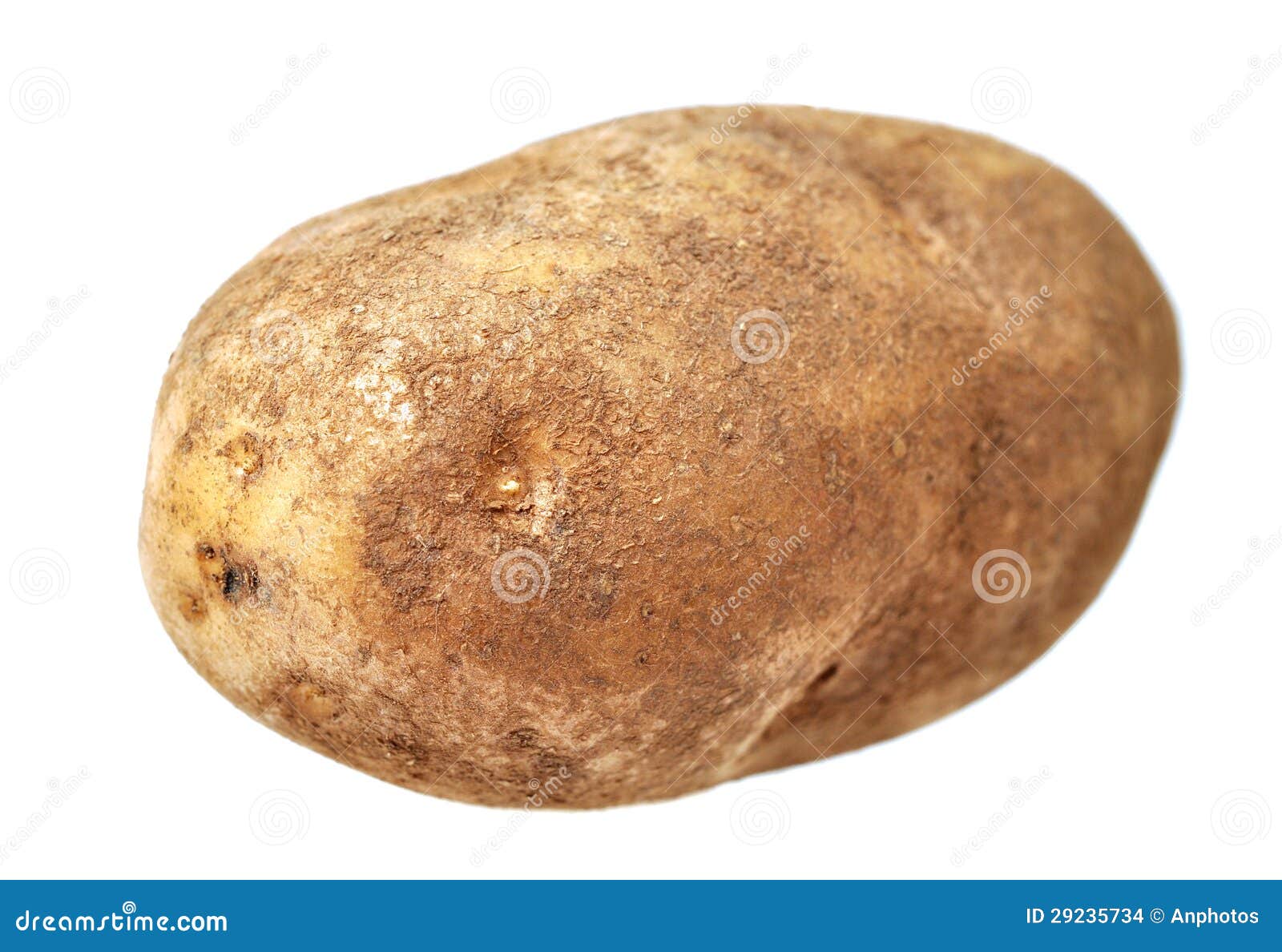 Single potatoe stock photo. Image of yellow, health, harvest - 29235734