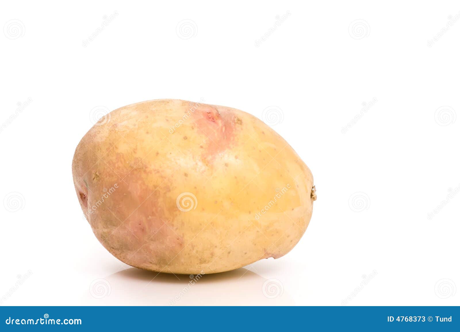 Single potatoe stock image. Image of vegetables, garden - 4768373