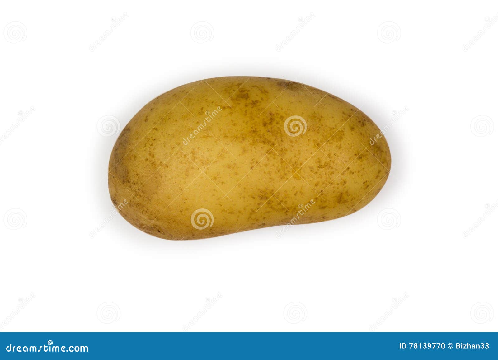 Single Potatoe Isolated on White Stock Photo - Image of isolated ...