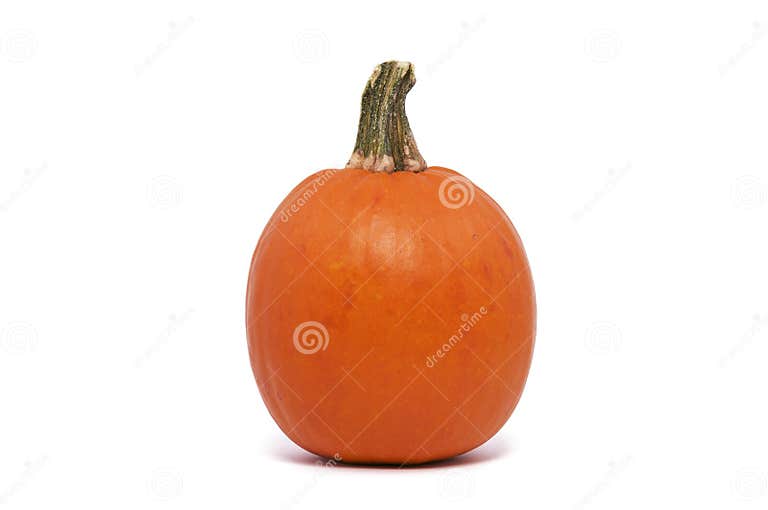 Single Pumpkin stock photo. Image of holiday, nature - 16848436