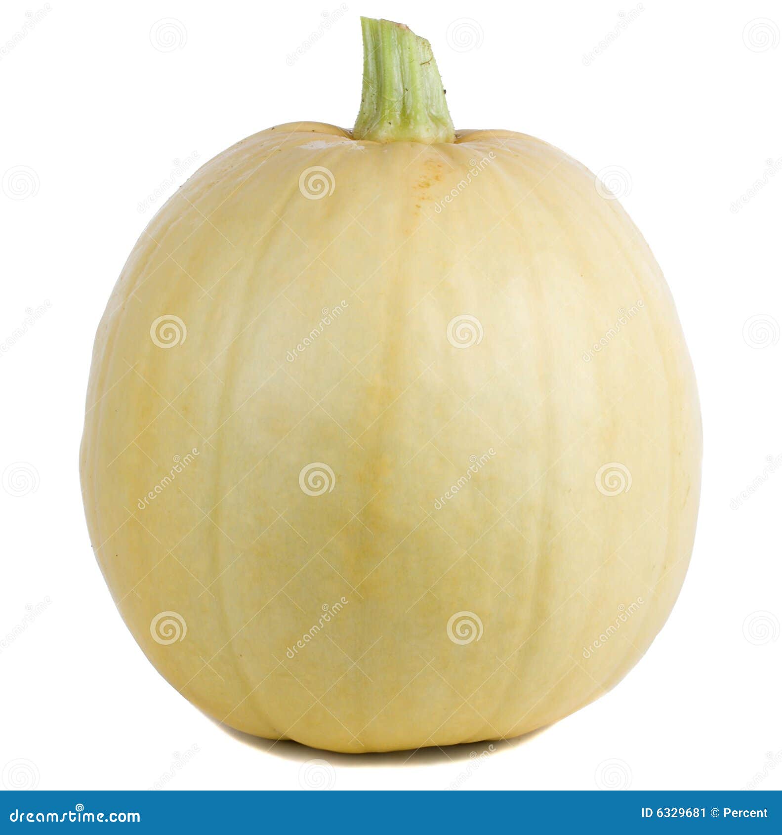 Single pumpkin stock image. Image of white, squash, crop - 6329681