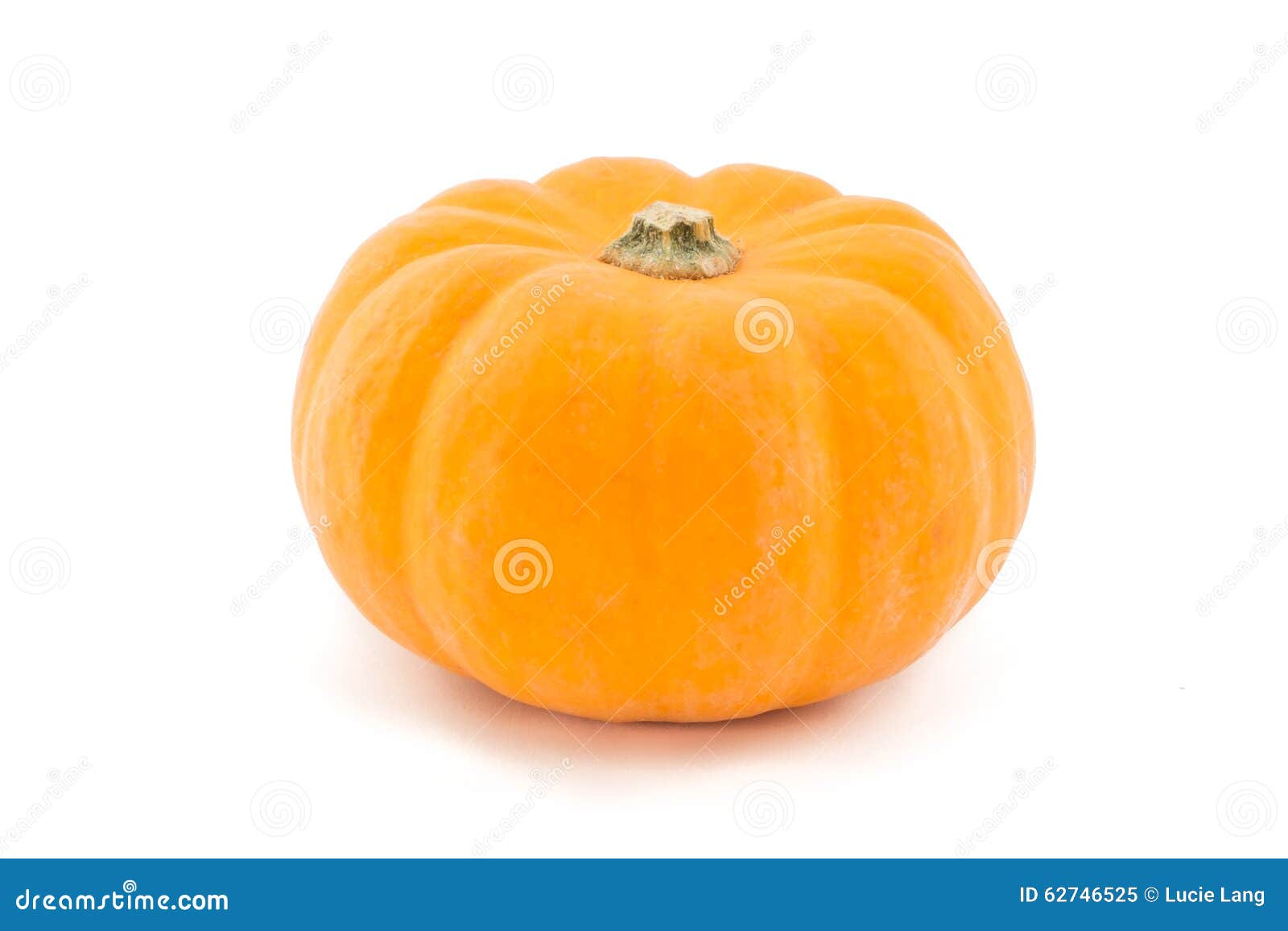 A Single Pumpkin Isolated on White. Stock Image - Image of fresh ...