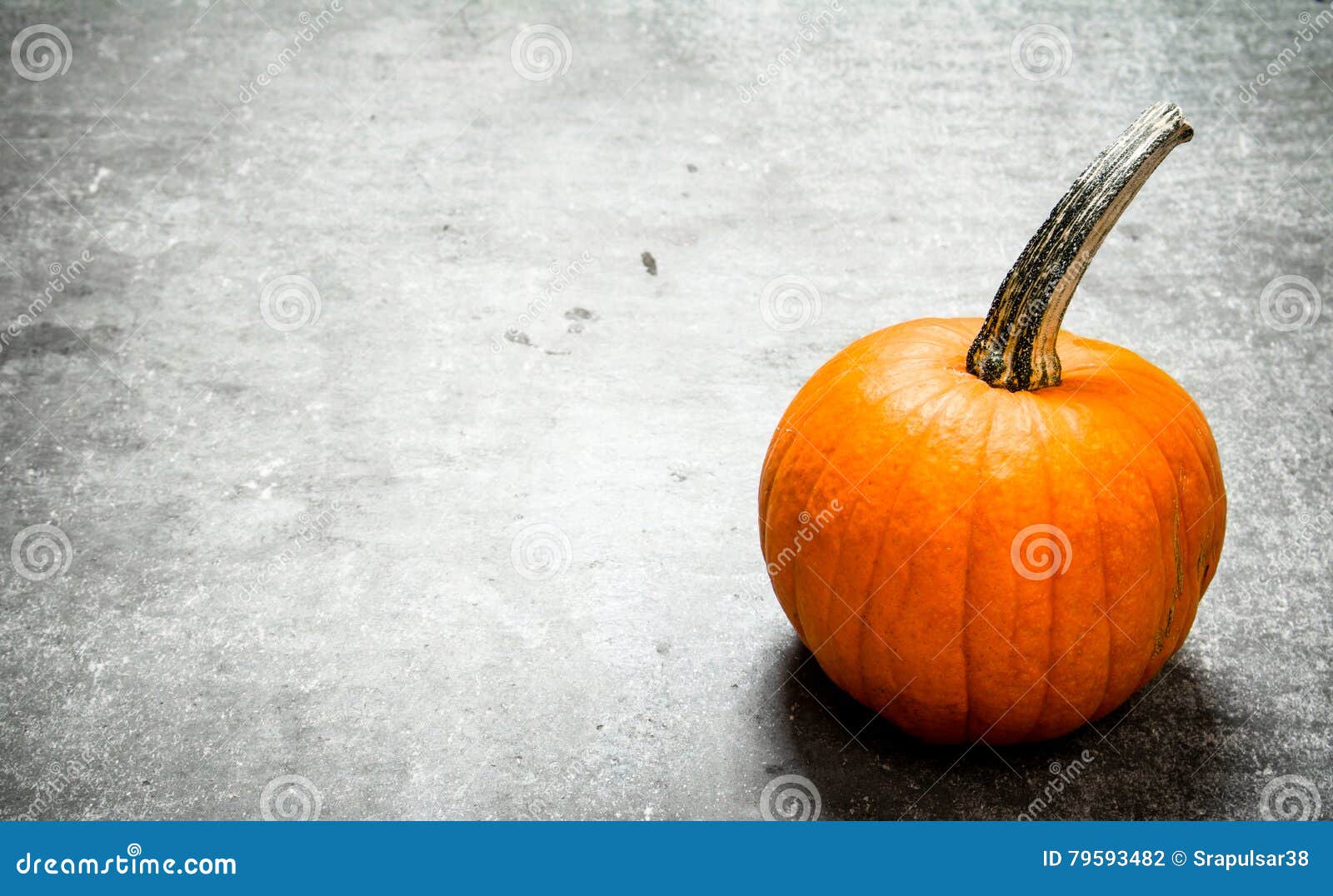 Single pumpkin . stock photo. Image of grey, table, ripe - 79593482